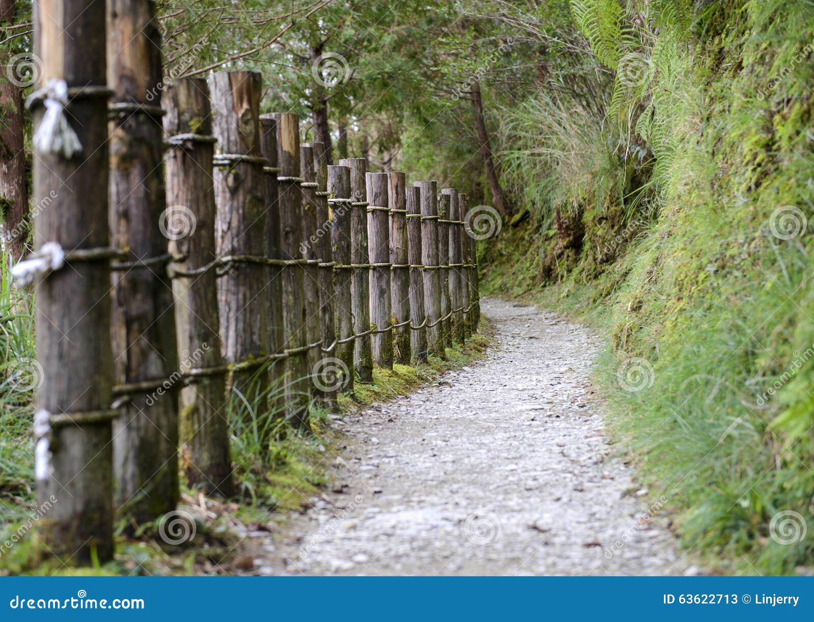 Walk Path with Wooden Fence in a Forest Stock Image - Image of barrier ...