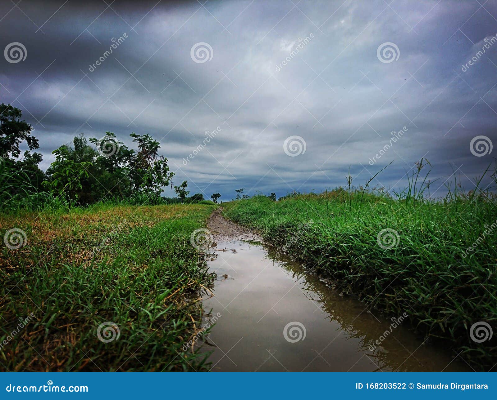 Walk after the Rain with a Fresh View Stock Photo - Image of water ...