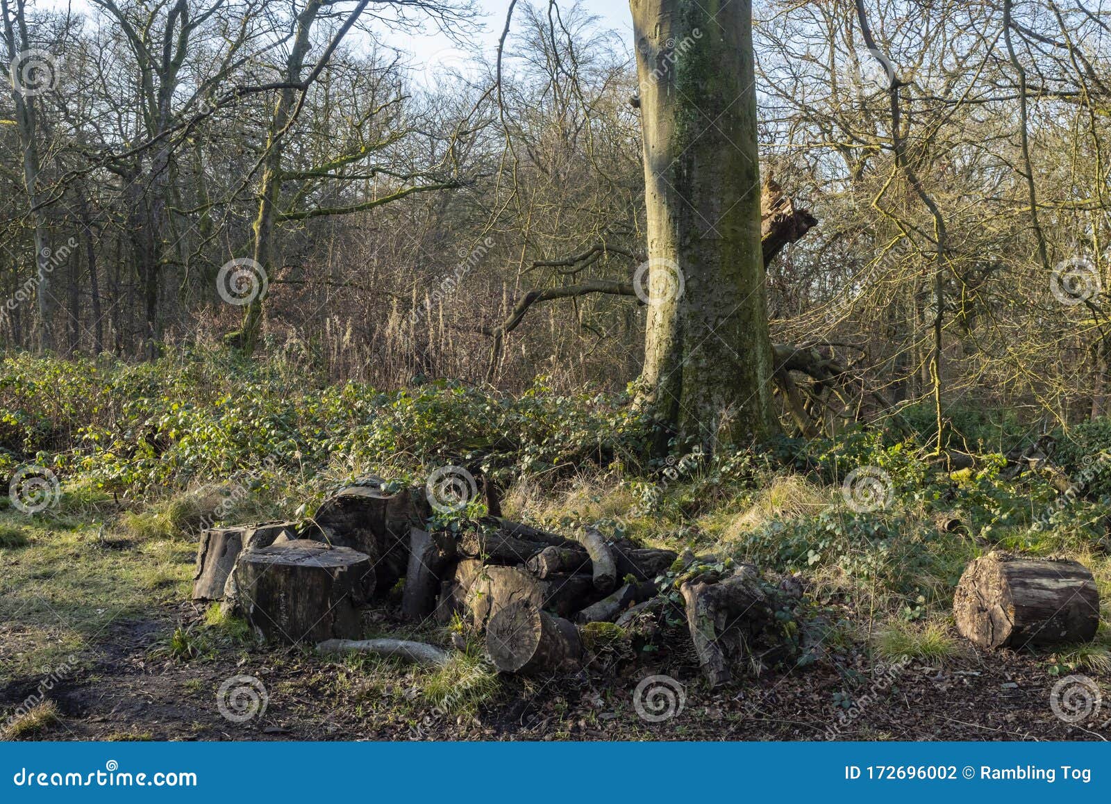 Walking the Settle Loop Above Settle and Langcliffe in the Yorkshire ...