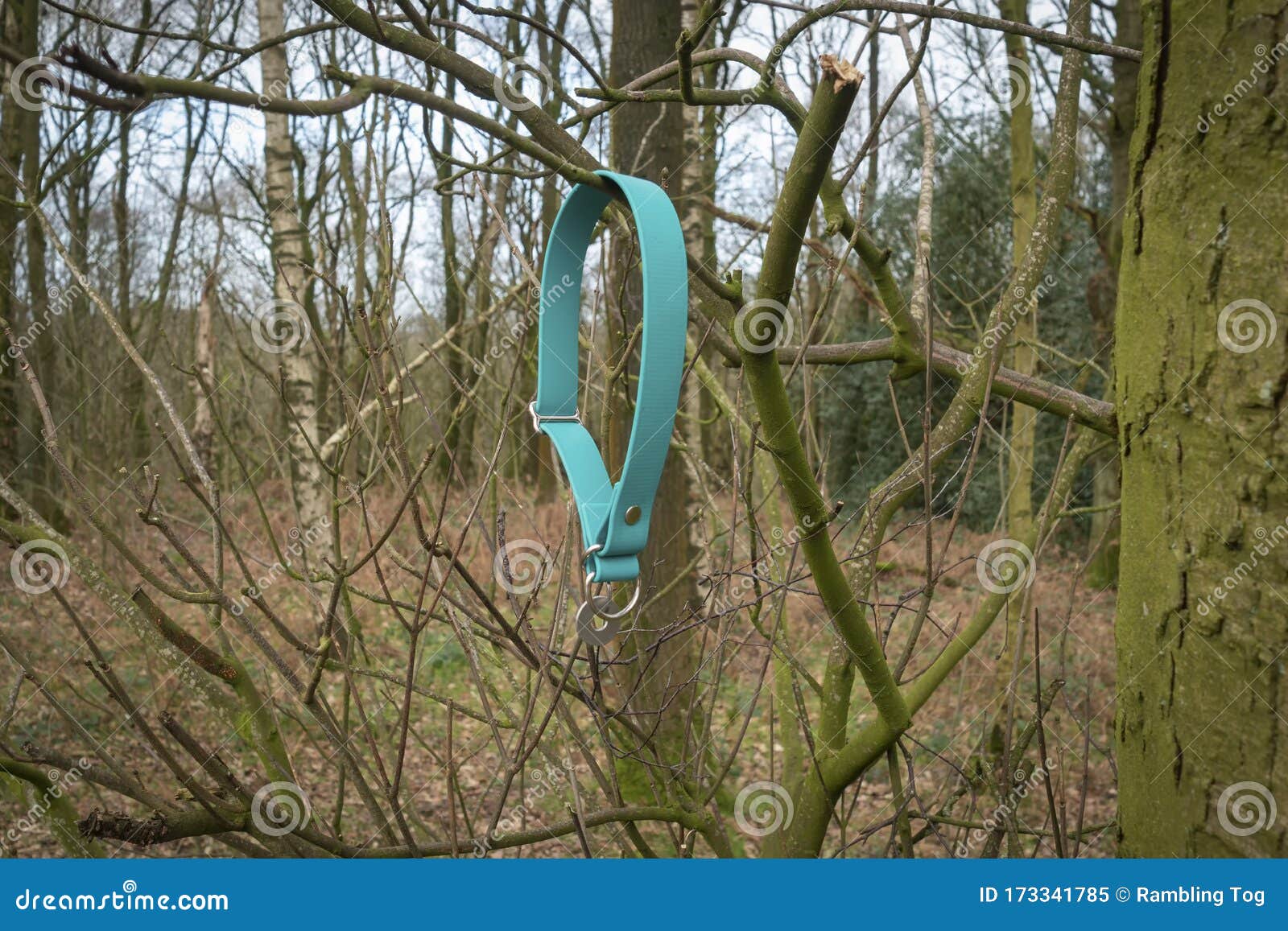Walking the Settle Loop Above Settle and Langcliffe in the Yorkshire ...