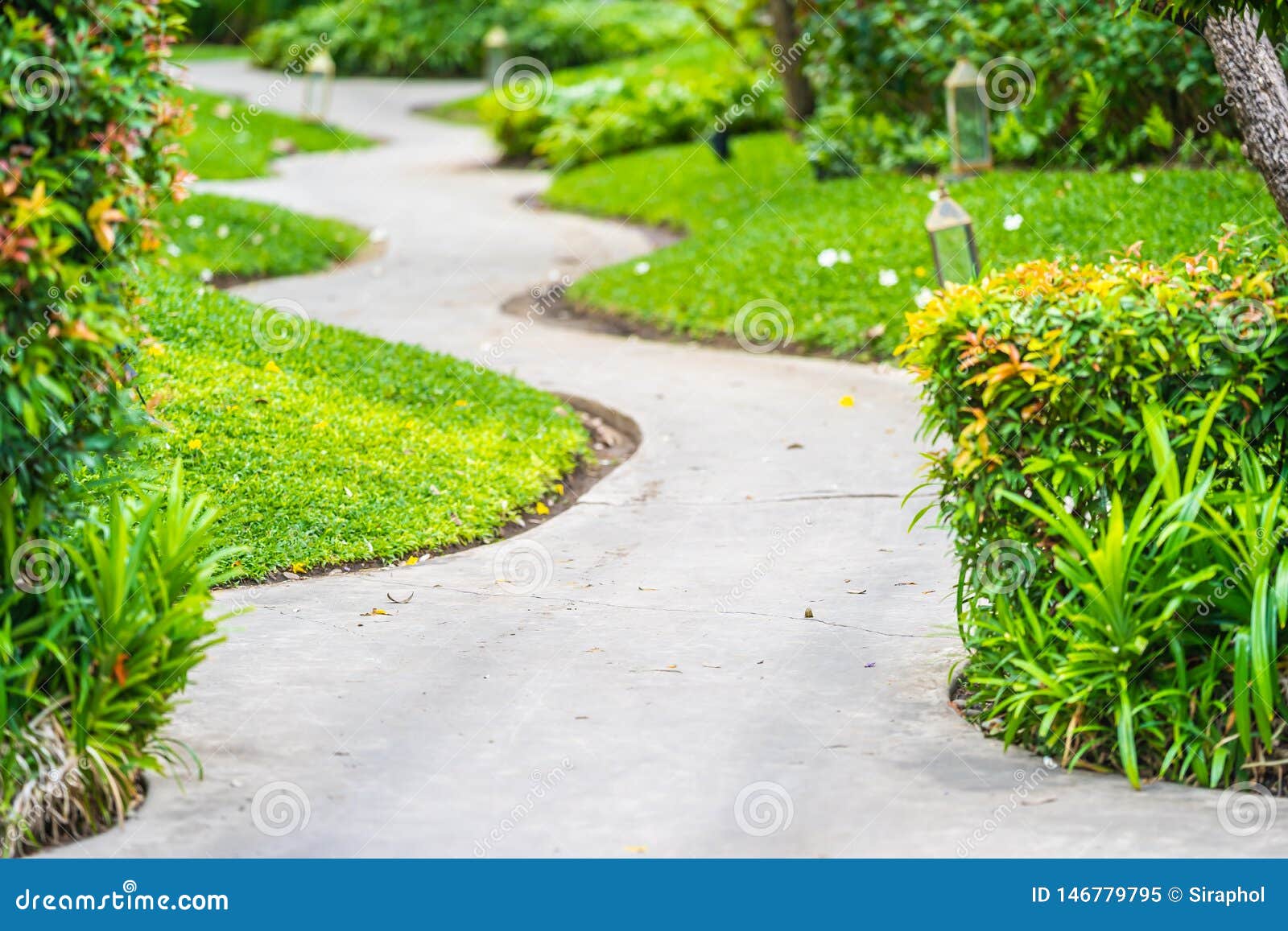 Walk or Running Path in the Garden Stock Image - Image of outdoor ...