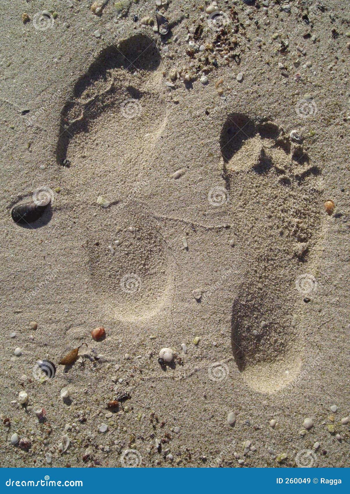 We walk the same distance stock image. Image of walk, sand - 260049