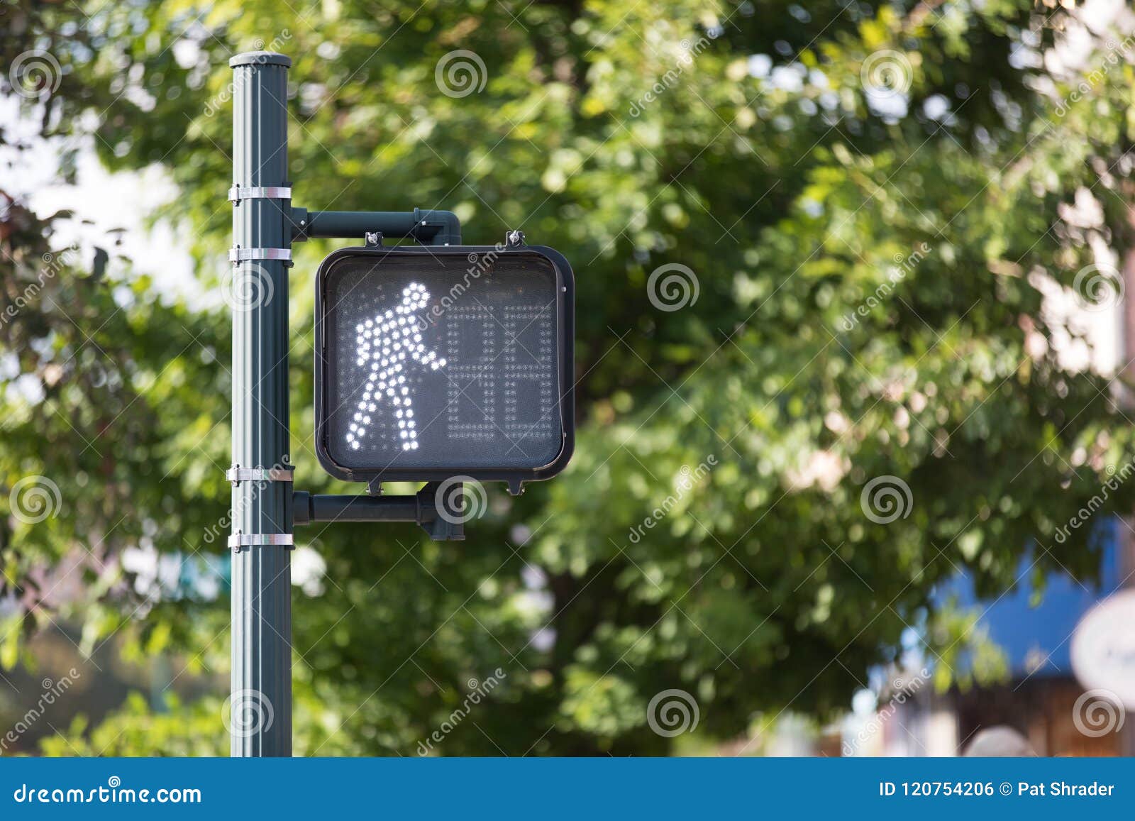 Walk sign on pole stock photo. Image of street, sign - 120754206