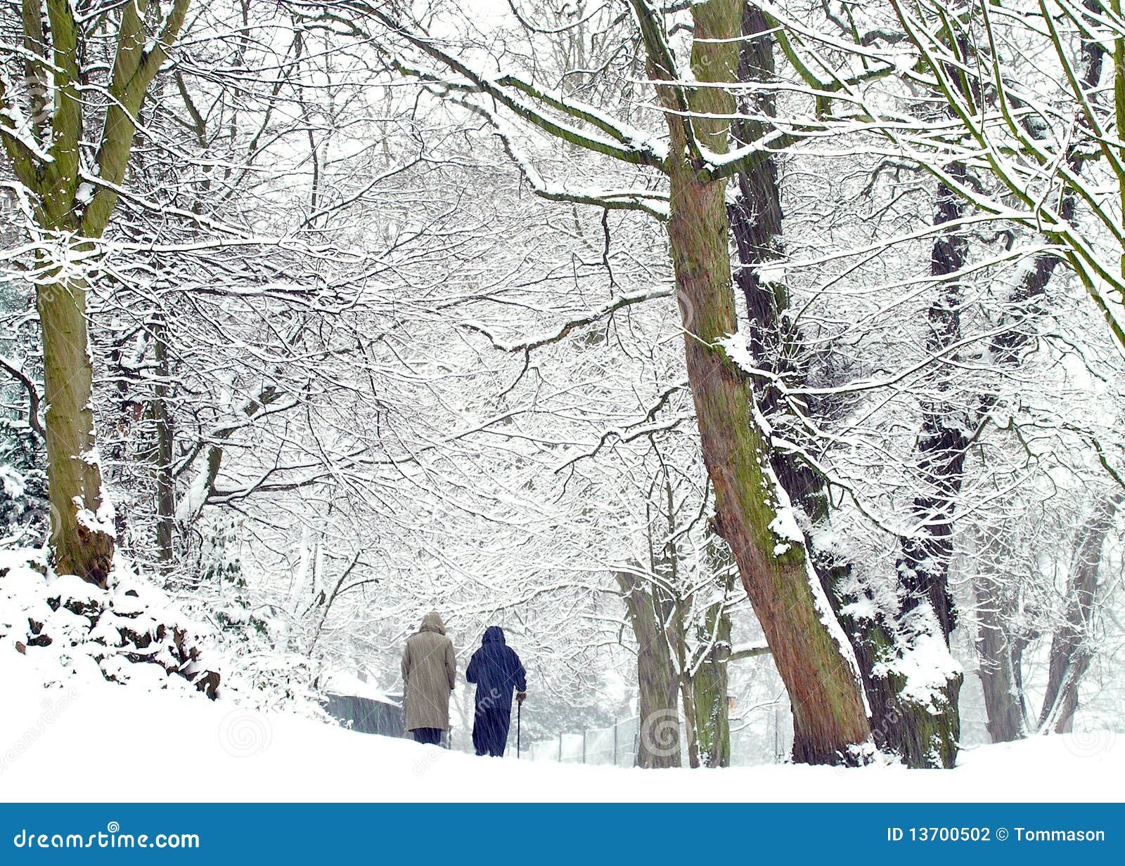 Walk in the snow stock photo. Image of stroll, snowfall - 13700502