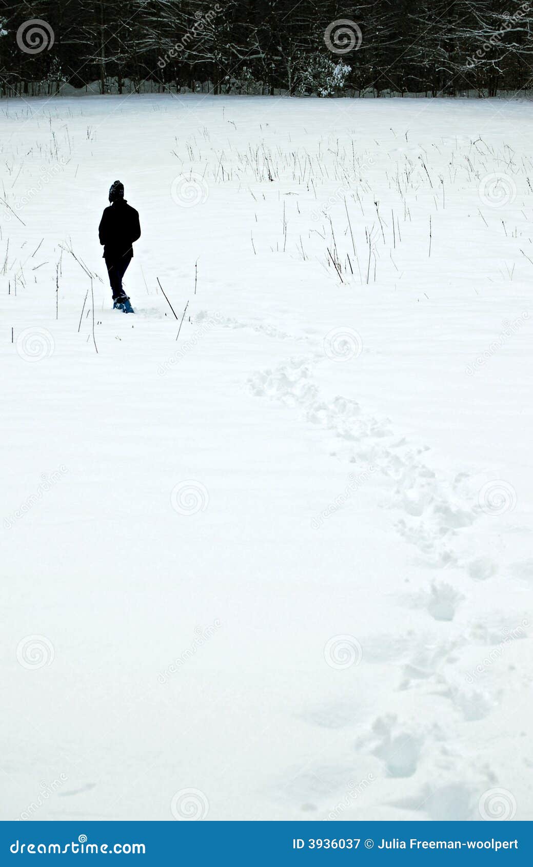 Walk through the snow stock image. Image of lonely, chilly - 3936037
