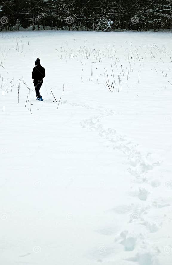 Walk through the snow stock image. Image of lonely, chilly - 3936037