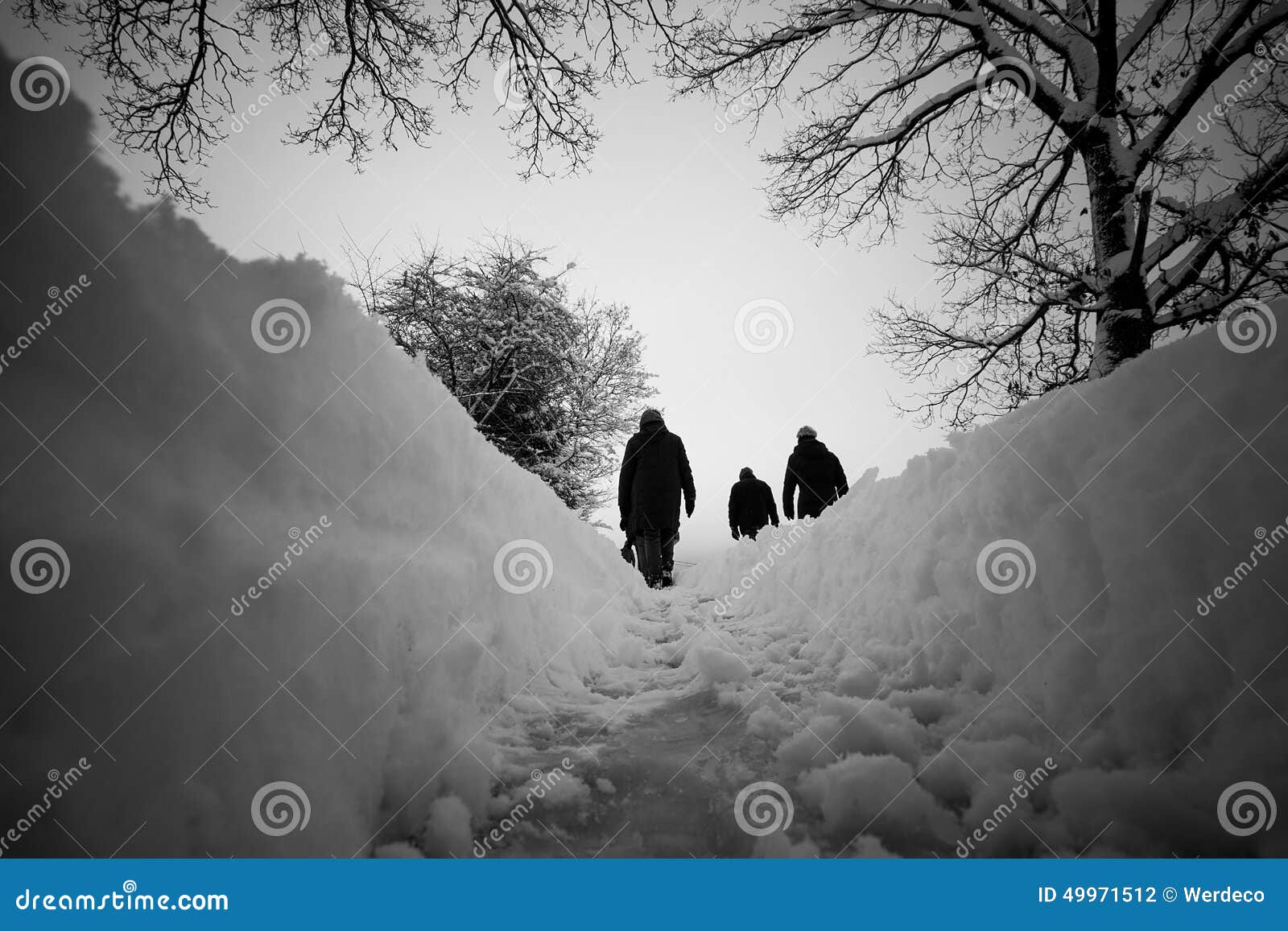 A walk in the snow stock photo. Image of beautiful, natural - 49971512