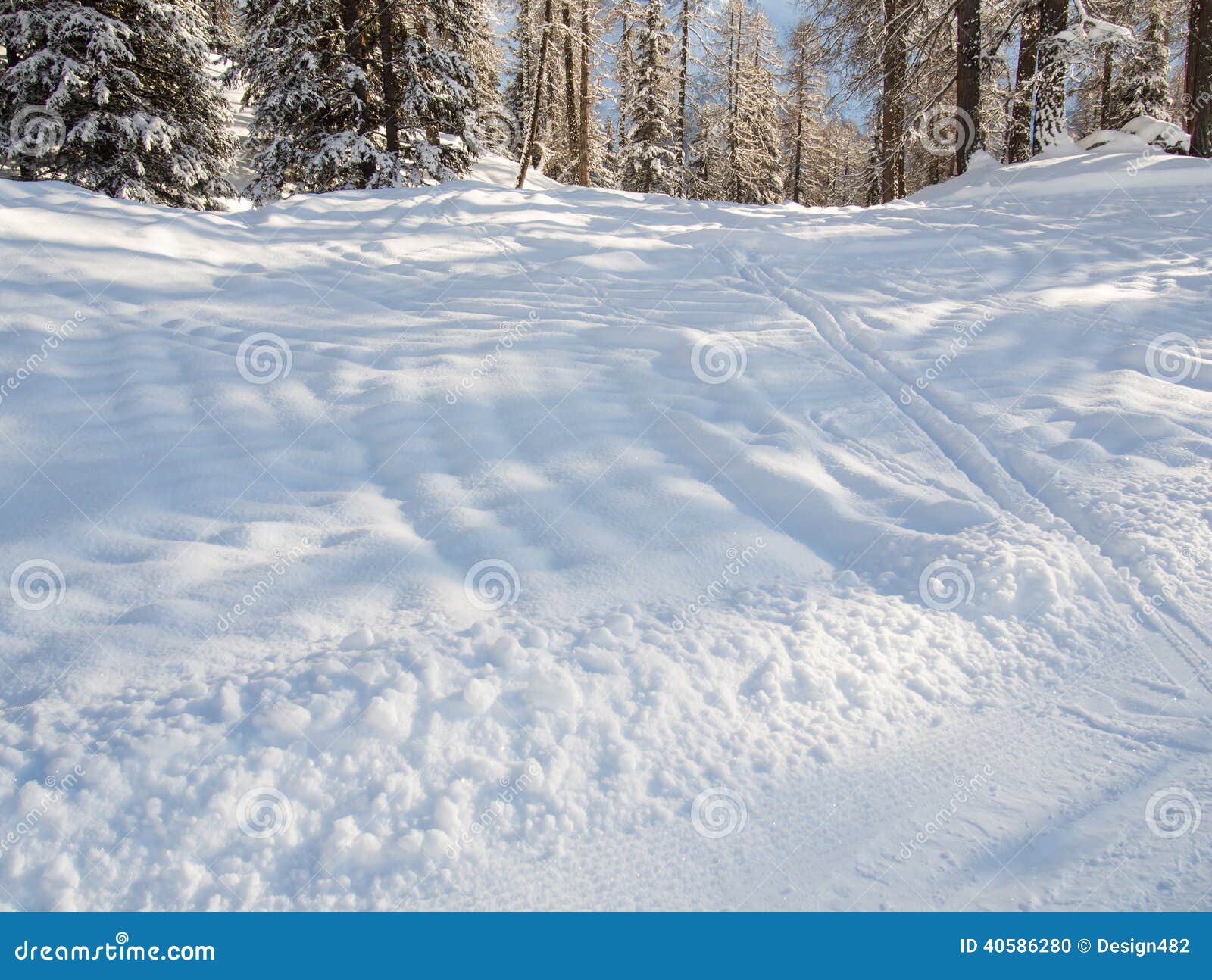 A walk through the snow stock photo. Image of beautiful - 40586280