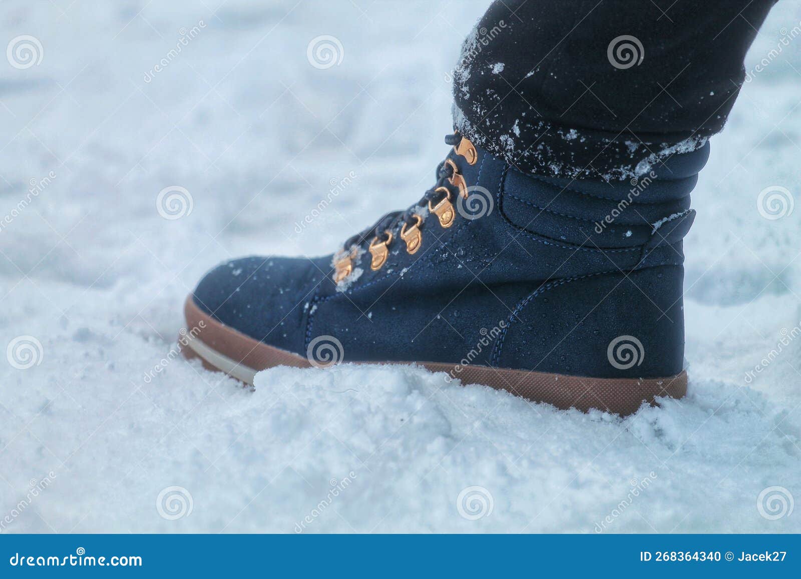 Walk in the snow stock photo. Image of freezing, white - 268364340