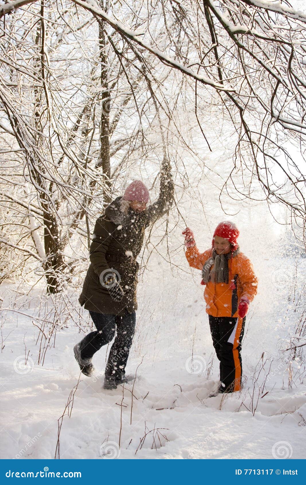 Walk in snowy forest stock image. Image of activity, forest - 7713117