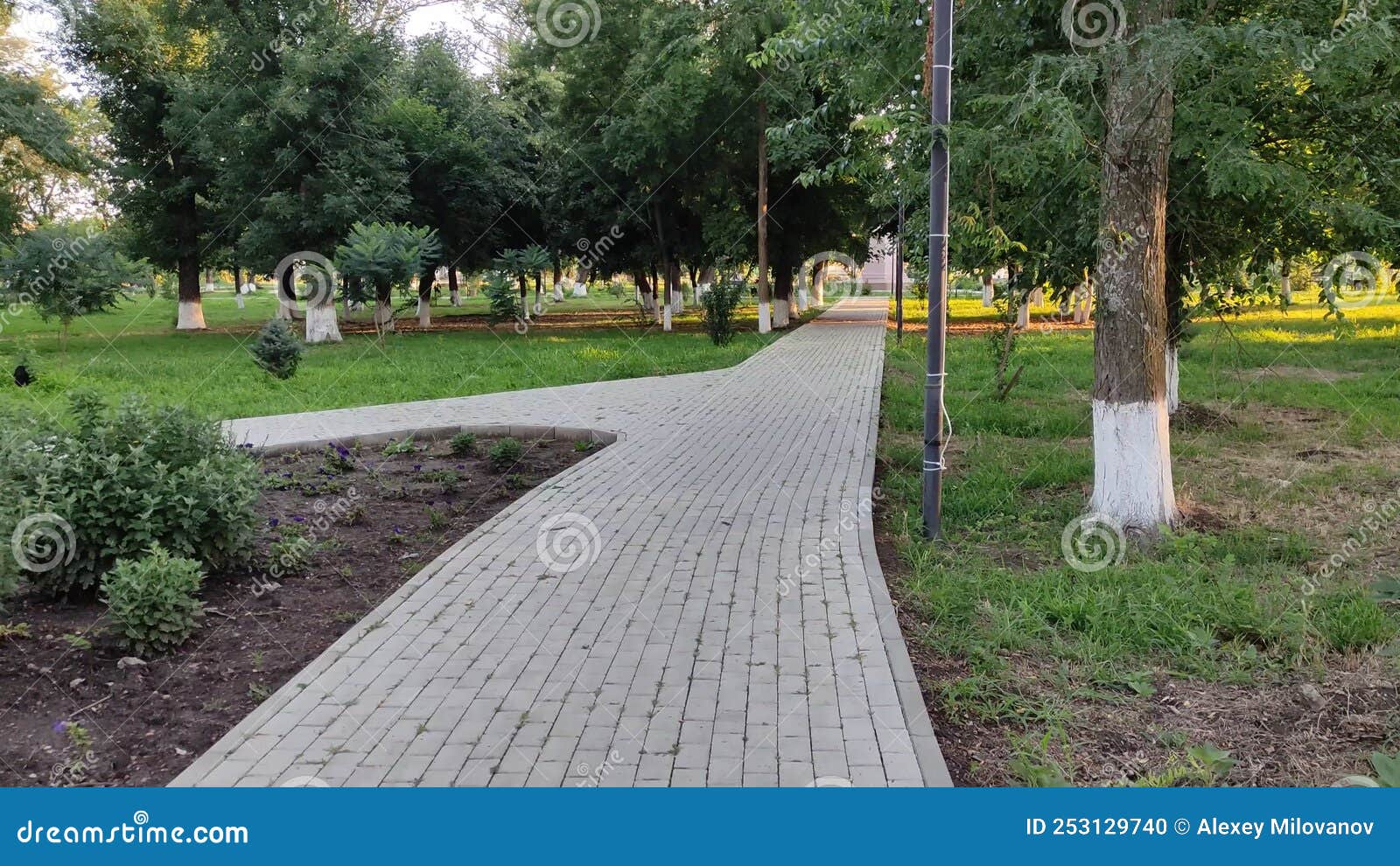 Walk in the Summer Park, First-person View Stock Footage - Video of ...