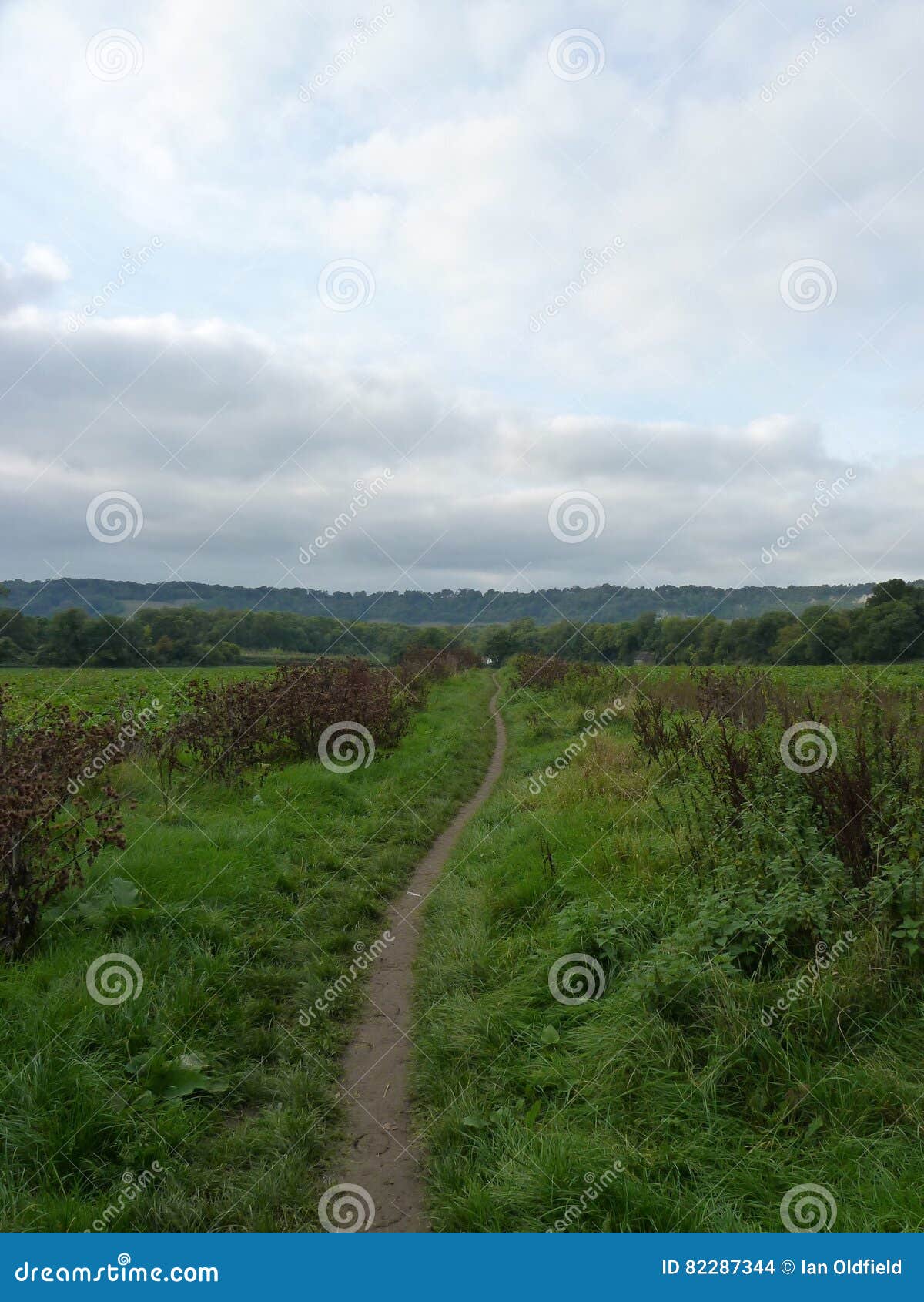 A walk in Surrey stock photo. Image of pathway, nature - 82287344