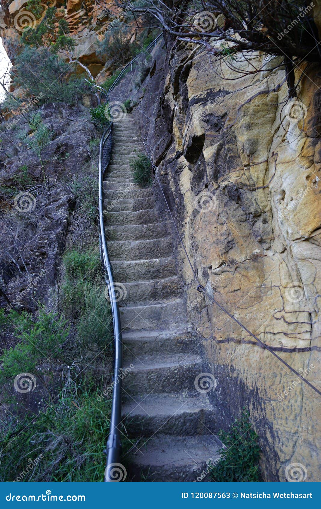 Walk Way Rock Stairs in Bush Walk Mountain Stock Image - Image of bush ...