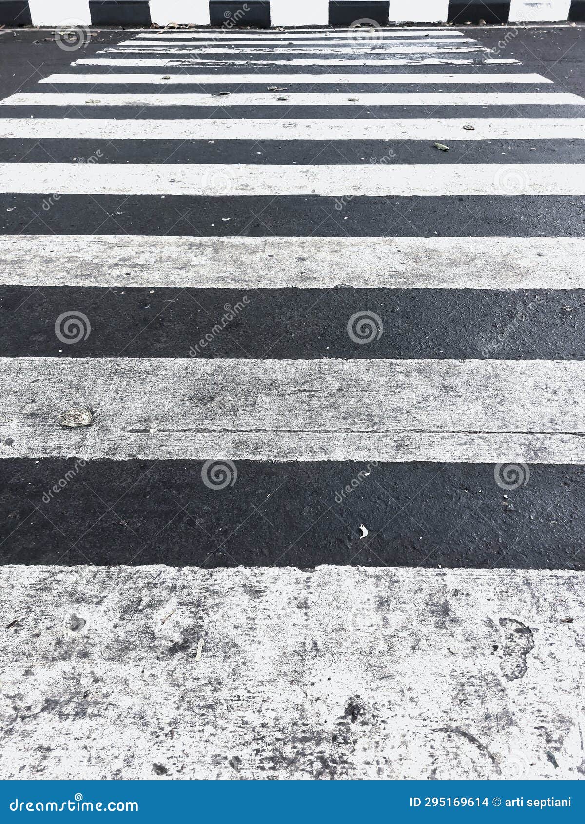Walk Trough Zebra Cross Line Editorial Stock Image - Image of zebra ...