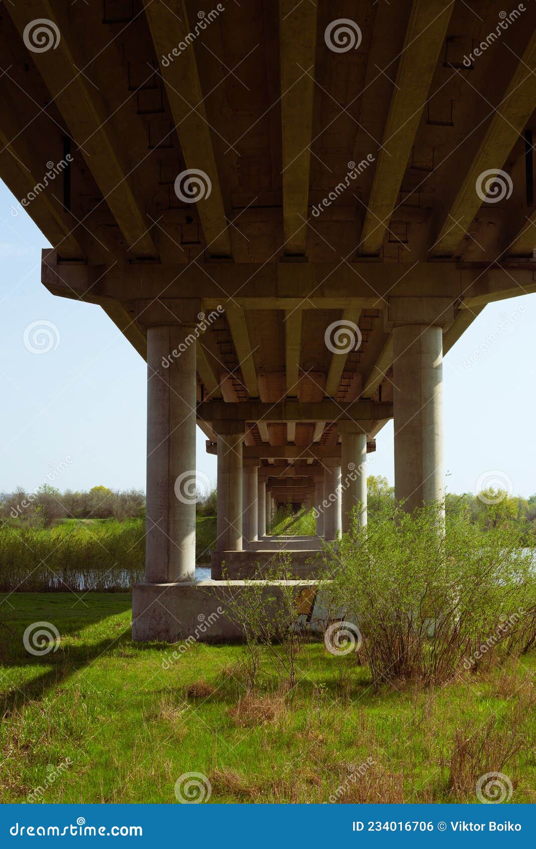 Walk Under the Road Bridge in the Thickets of River Stock Photo - Image ...