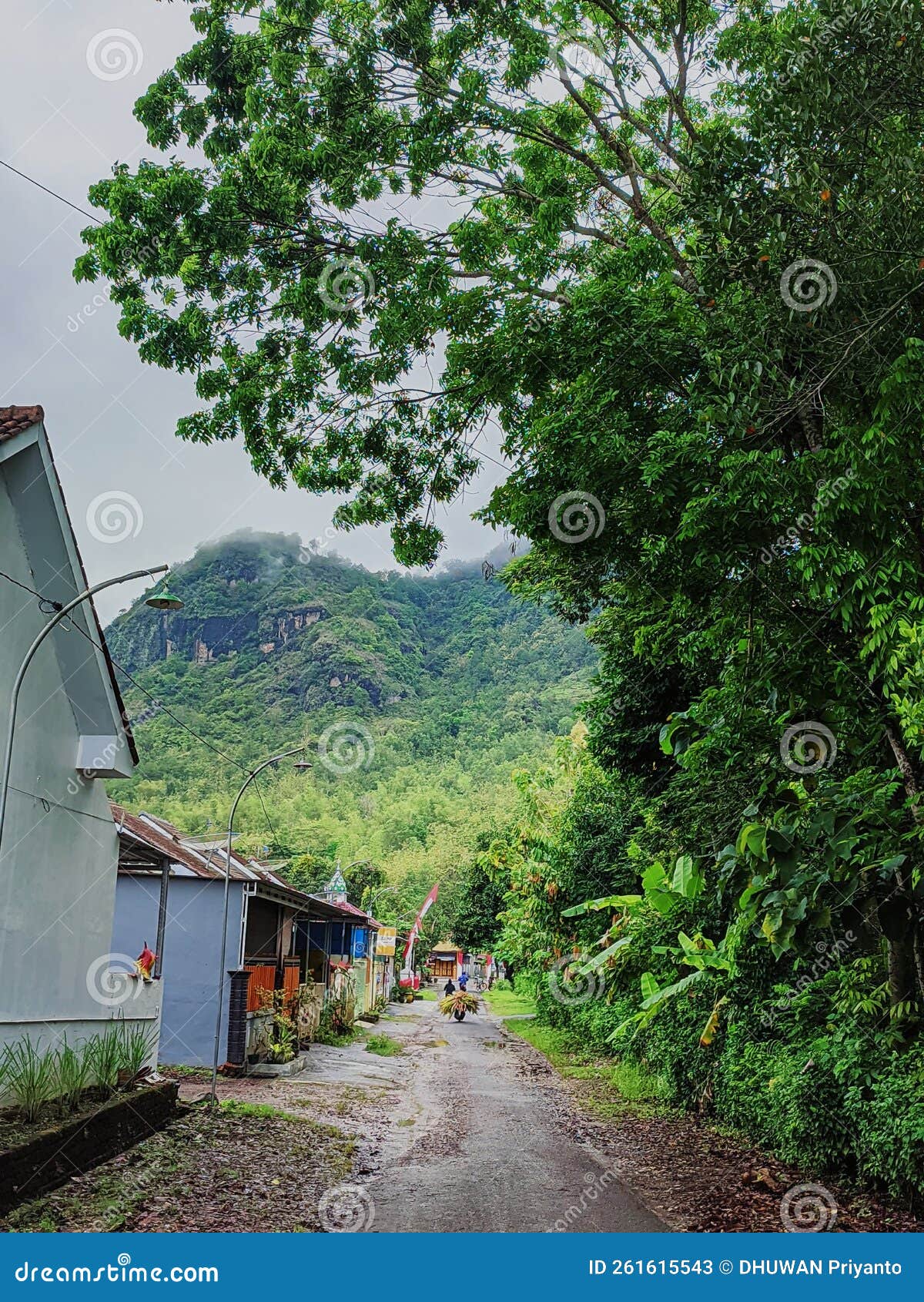 Walk in the Village after the Rain Let Up Stock Image - Image of ...