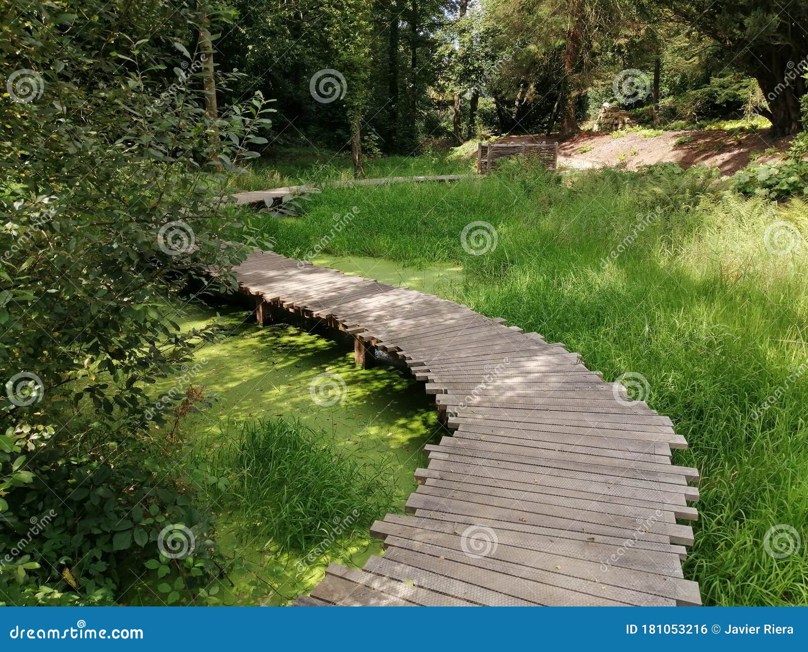 Walk in the Water Path Near Belfast Stock Photo - Image of water ...