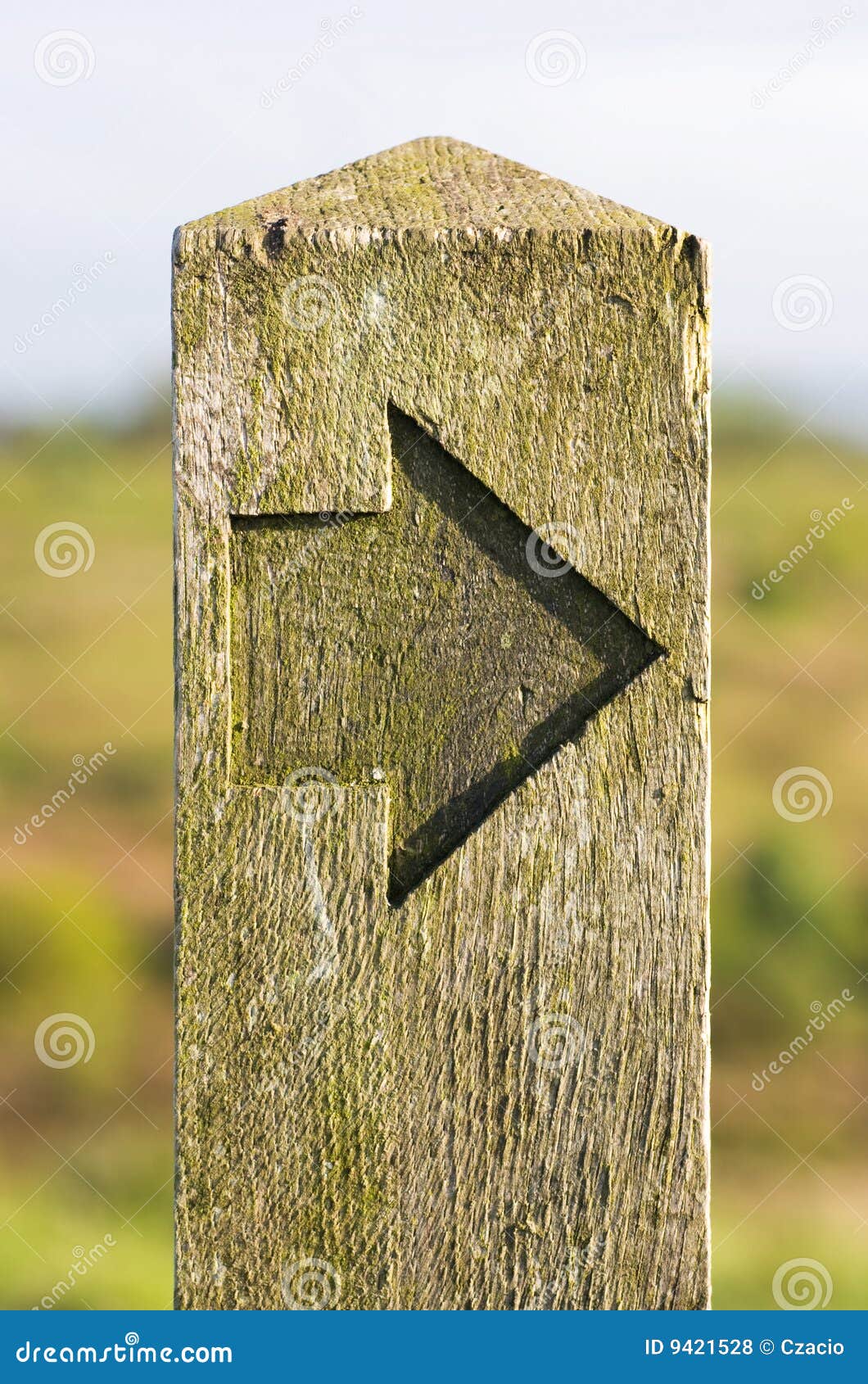 Walk this way stock photo. Image of wooden, walking, directional - 9421528