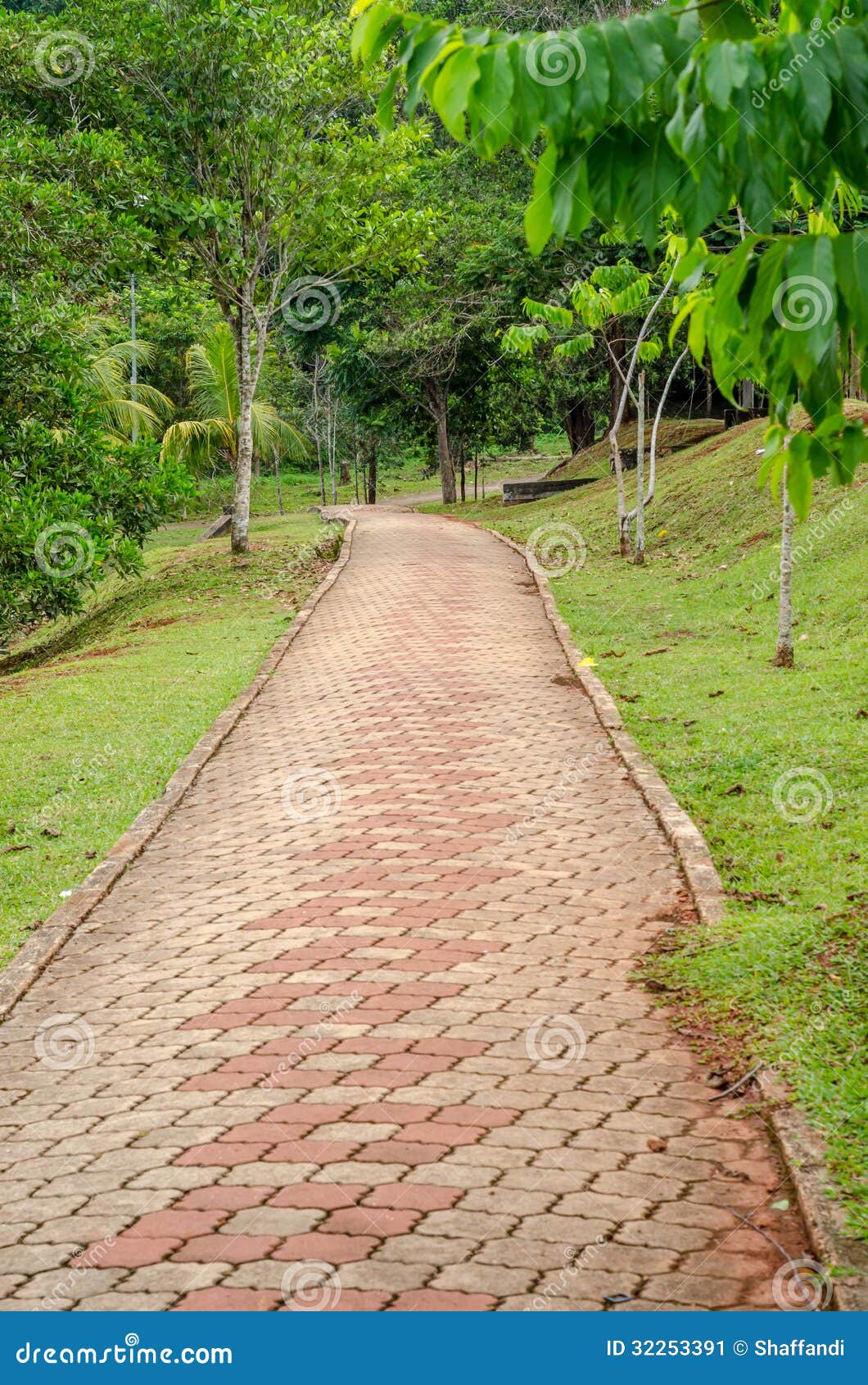 The walk way stock image. Image of green, harmony, biology - 32253391