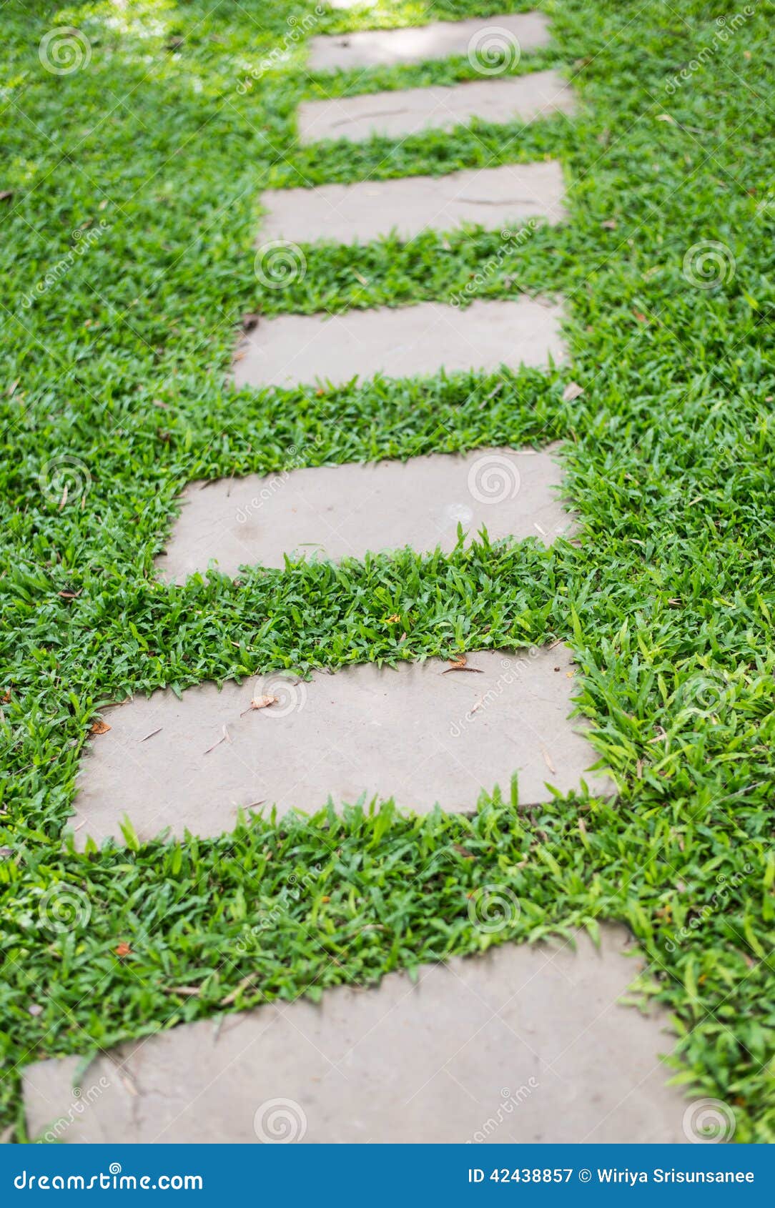 Walk way on grass stock image. Image of outside, concept - 42438857
