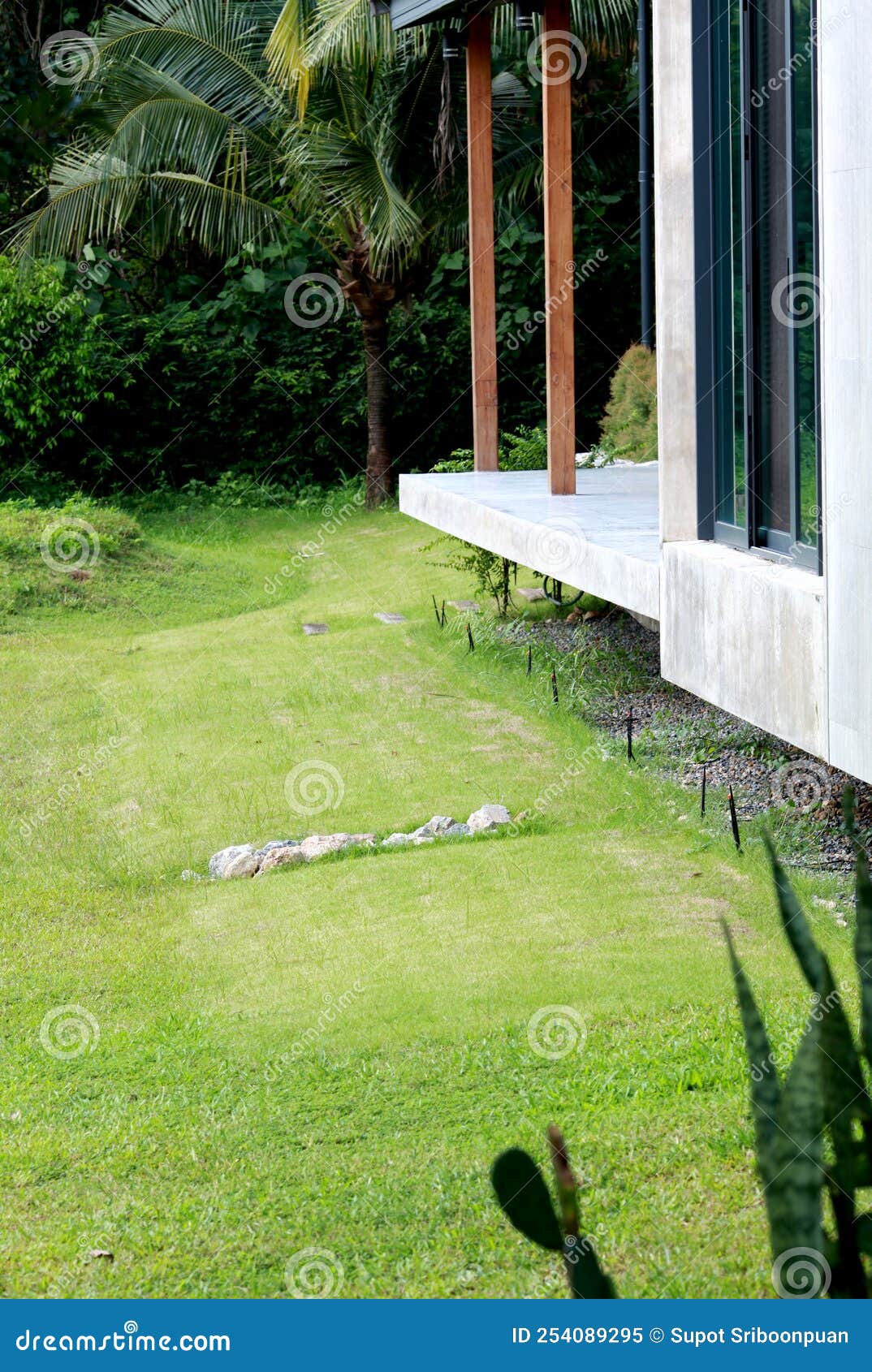 Walk Way Green Grass in the Garden Stock Image - Image of ground ...