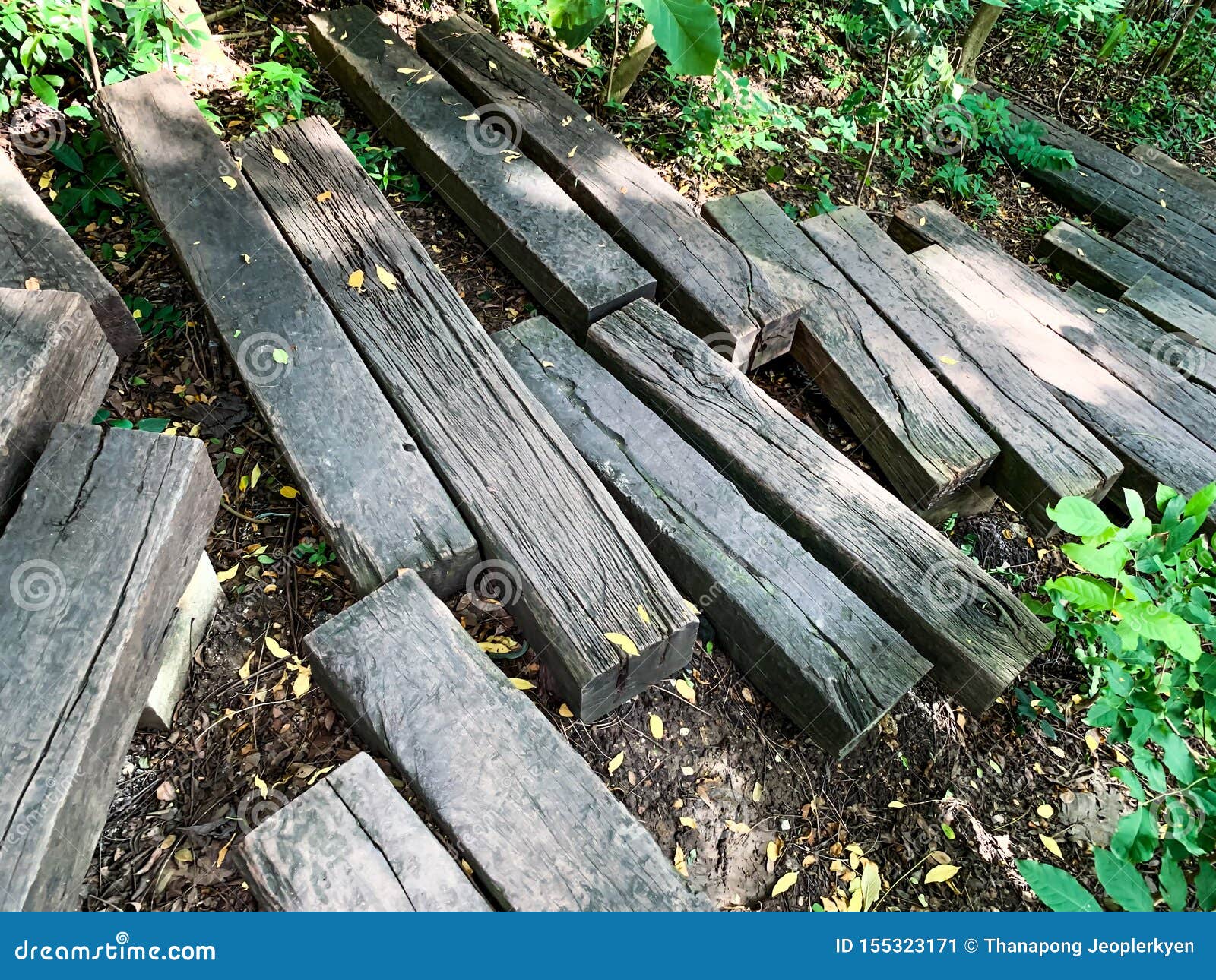 Walk Way Made with Wood Log Stock Image - Image of material, nature ...
