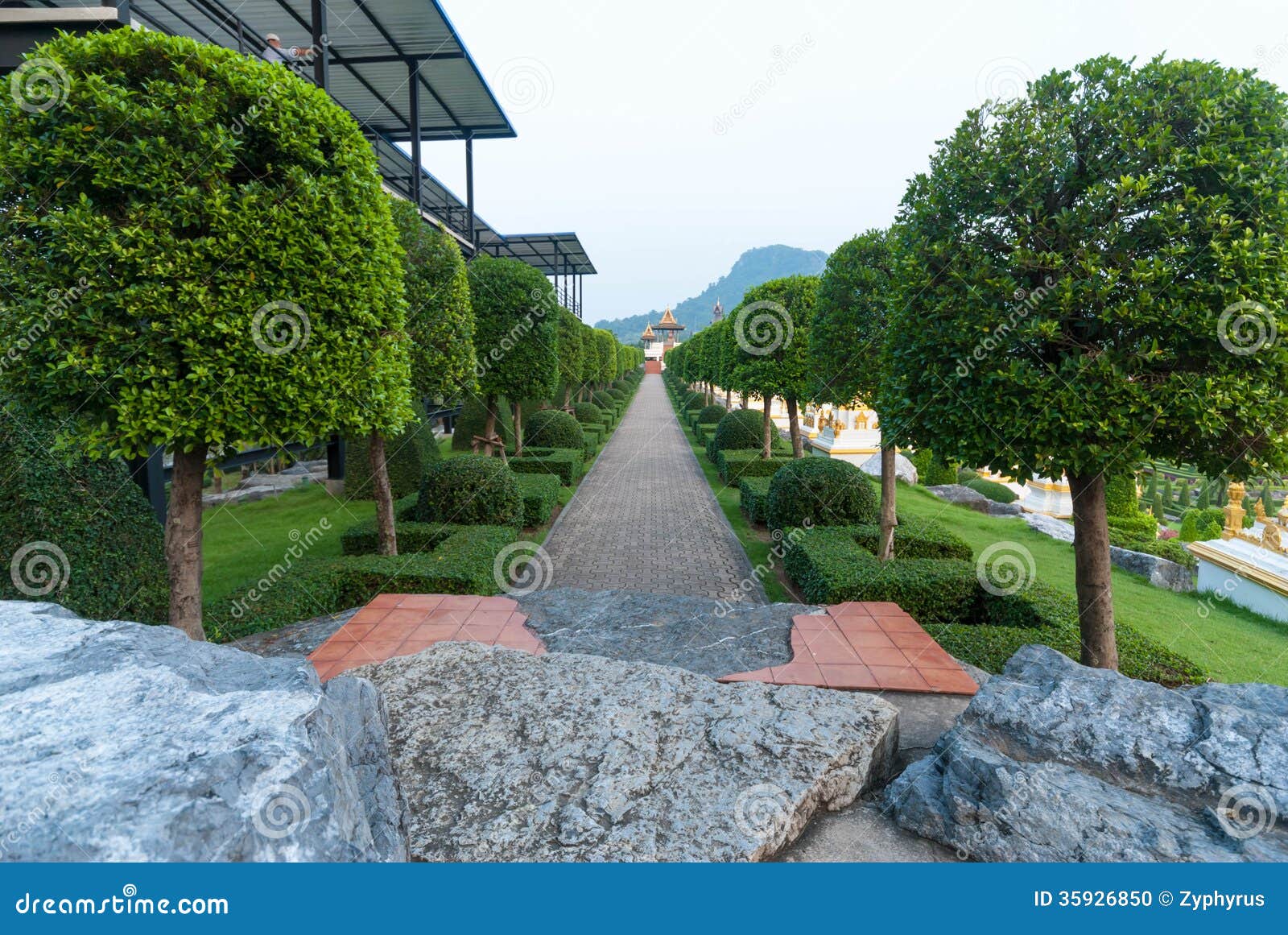 The Walk Way in Natural Open Corridor Stock Photo - Image of botany ...