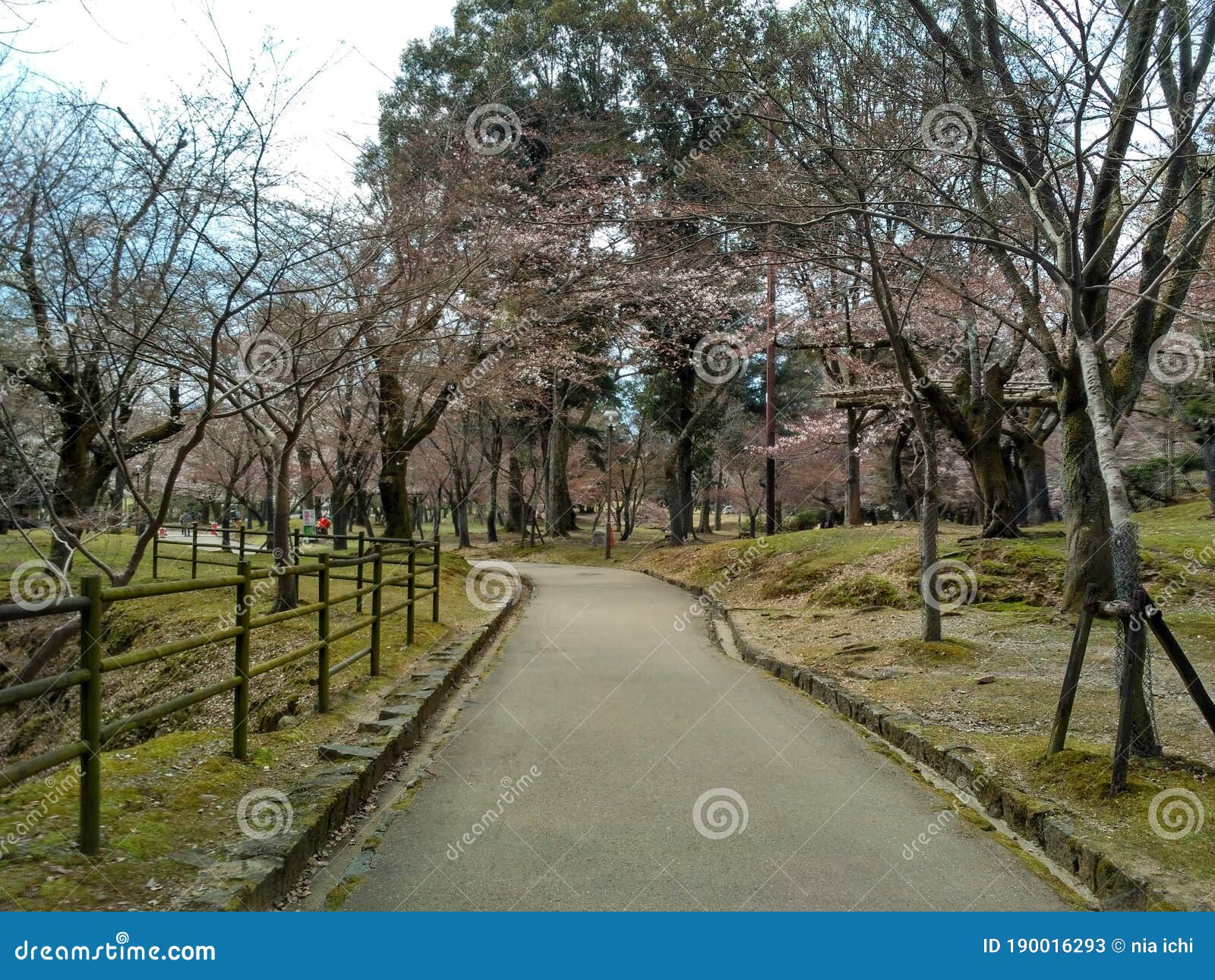 A Walk Way at the Park on Spring Stock Image - Image of flower, autumn ...