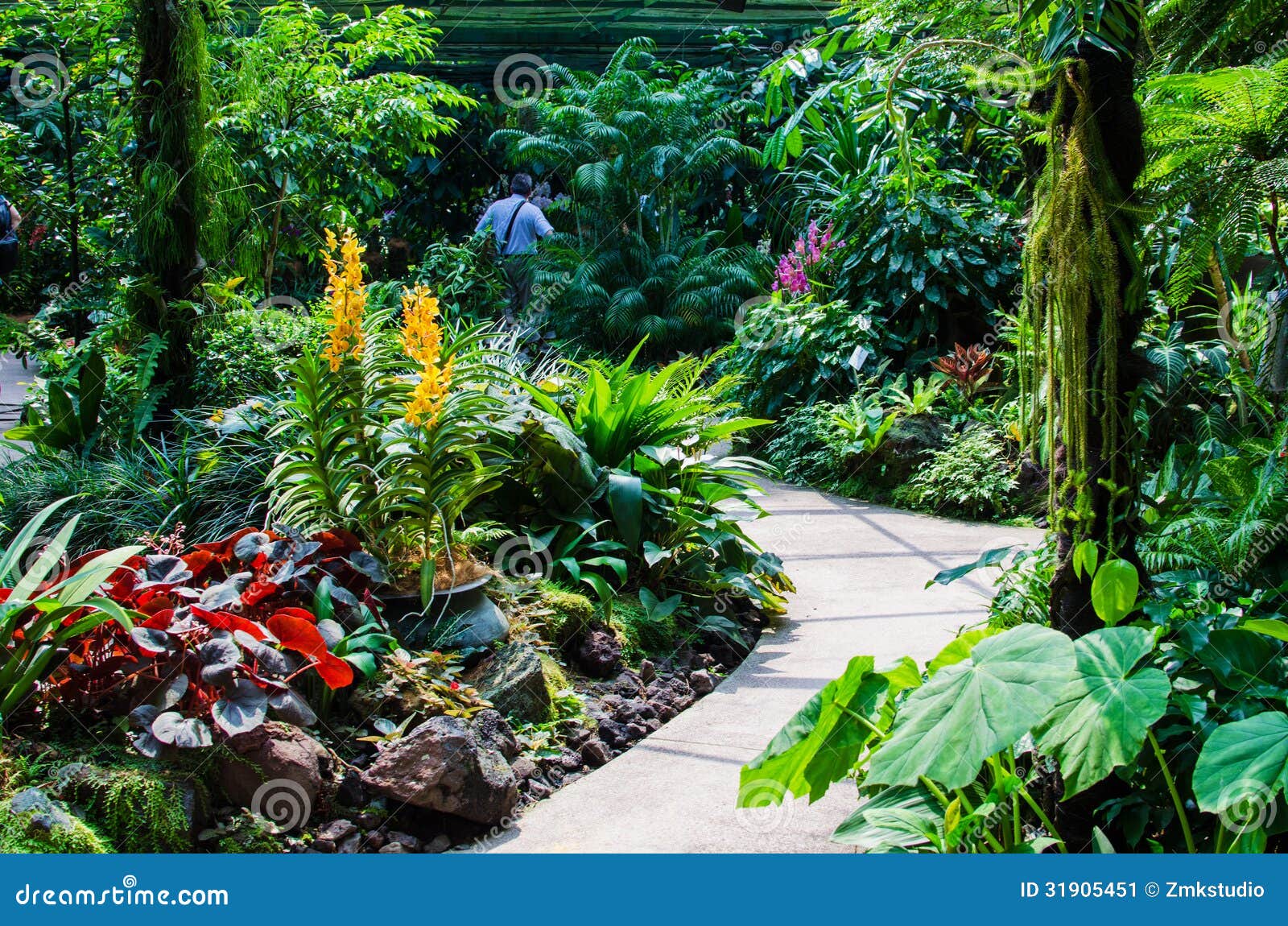 Walk Way Path through the Garden Stock Image - Image of leafy, parkland ...