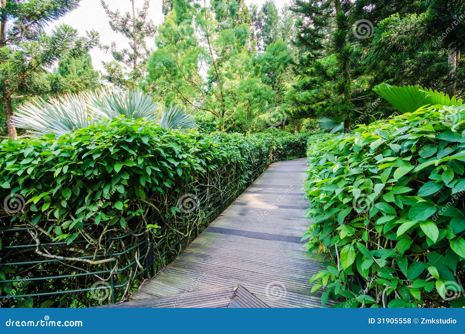 Walk Way Path through the Garden Stock Photo - Image of house ...