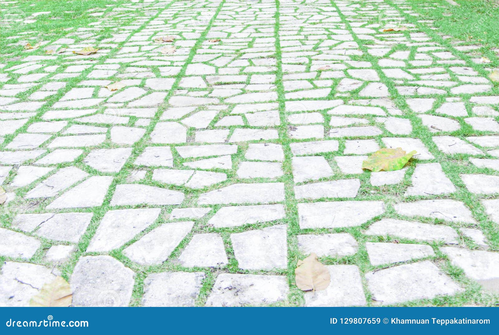 Walk Way Path with a Grass Random Stock Image - Image of jogging ...