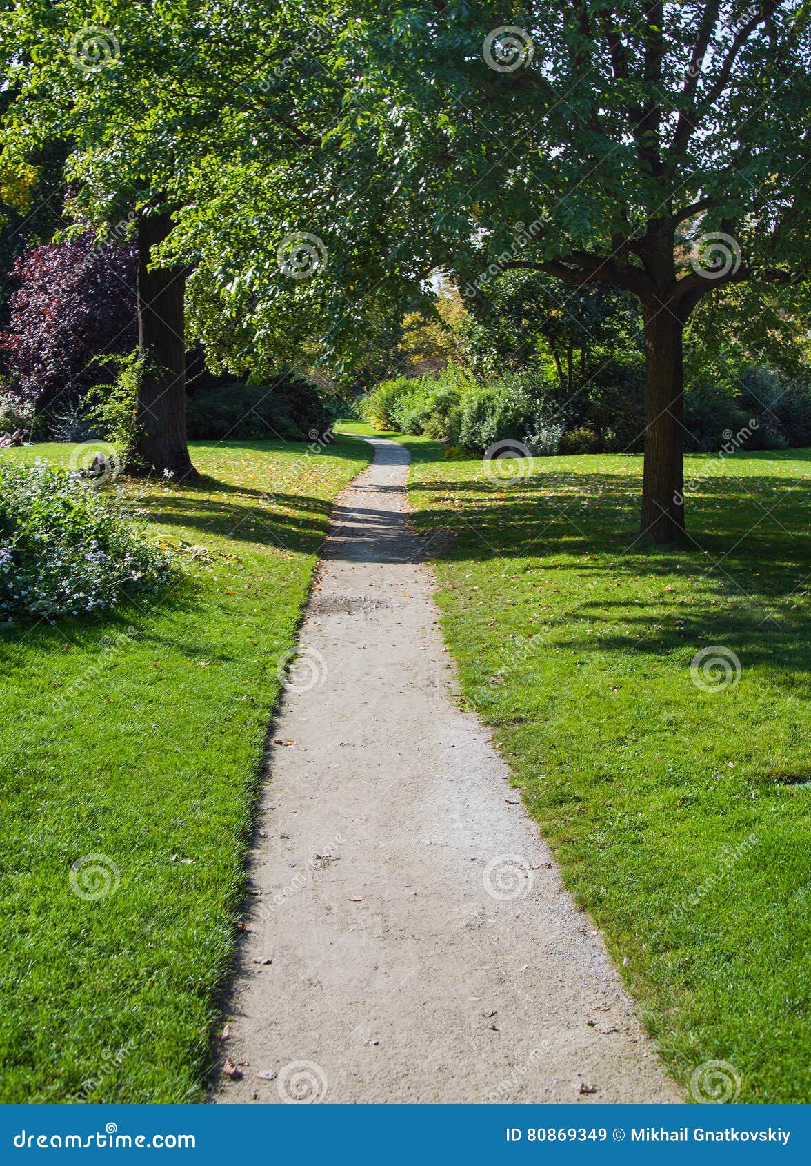 Walk way path stock image. Image of drive, journey, green - 80869349