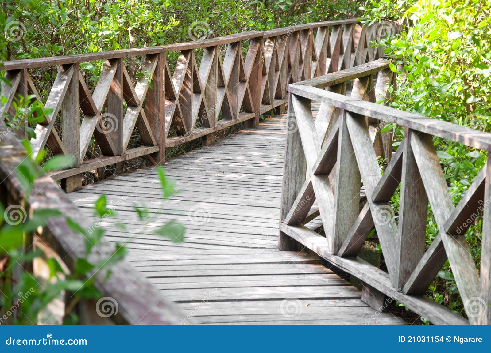 Walk way road stock photo. Image of road, health, story - 21031154