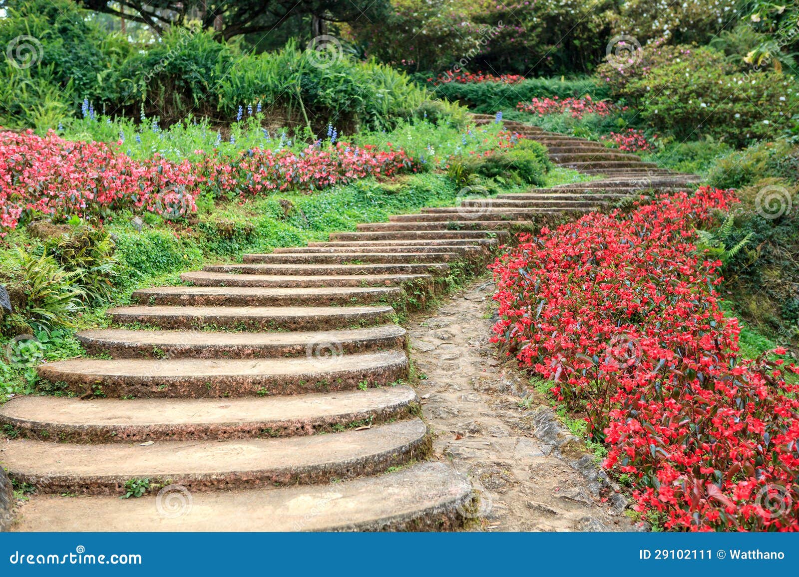 Walk Way on the Seasonal Flower Garden Stock Image - Image of pathway ...