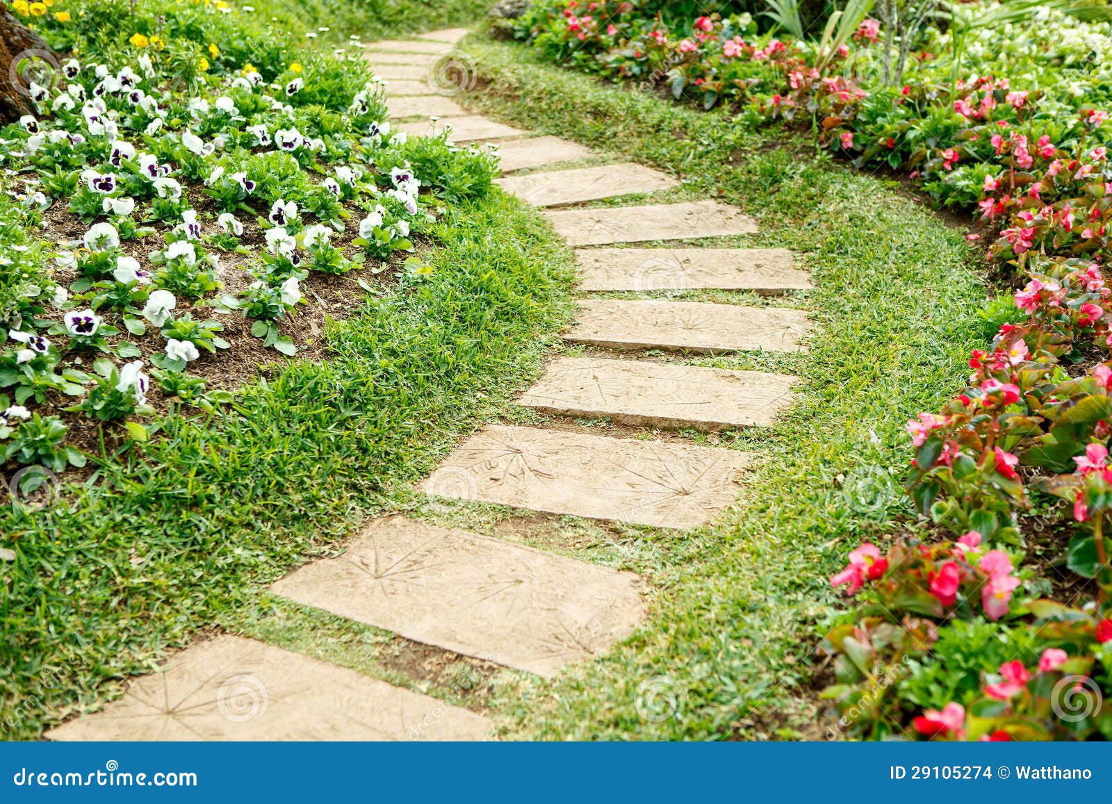 Walk Way on the Seasonal Flower Garden Stock Photo - Image of ground ...