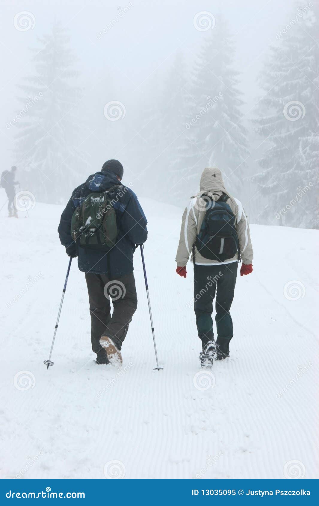 Walk in winter stock image. Image of road, snow, women - 13035095