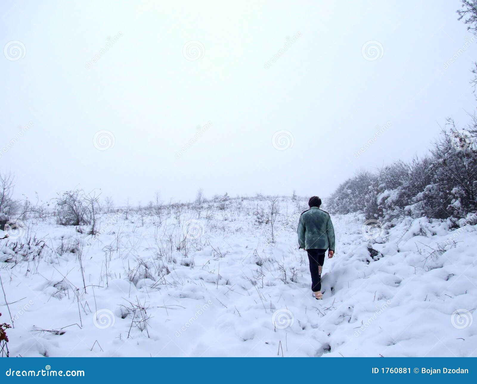 Walk in winter stock image. Image of winter, snowy, landscape - 1760881