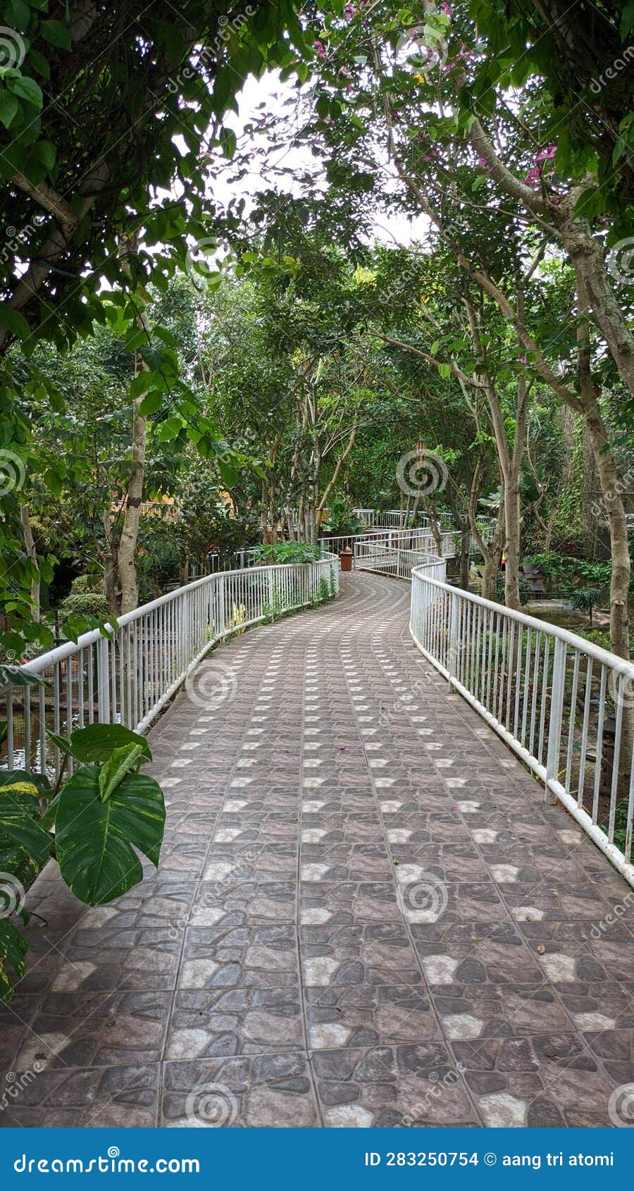 Walk in the Zoo on Vacation Stock Photo - Image of road, tree: 283250754