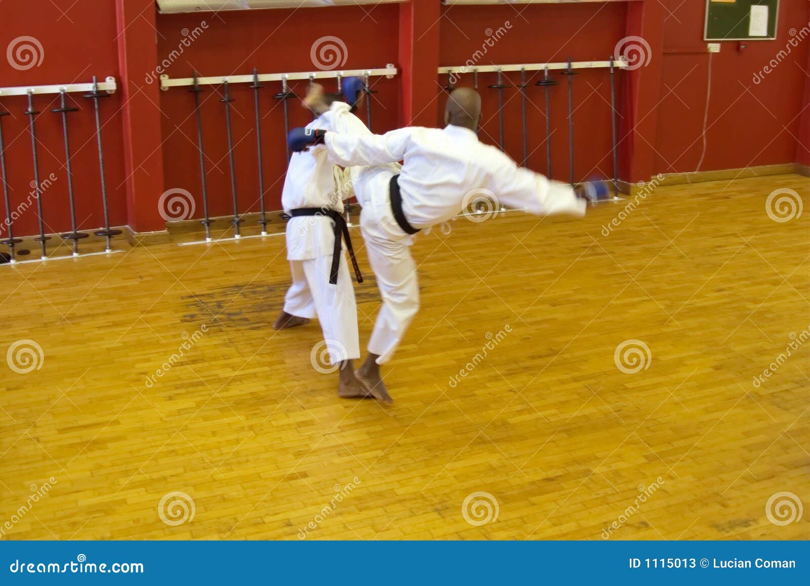 Walka karate. obraz stock. Obraz złożonej z wojownik, dynamiczny - 1115013