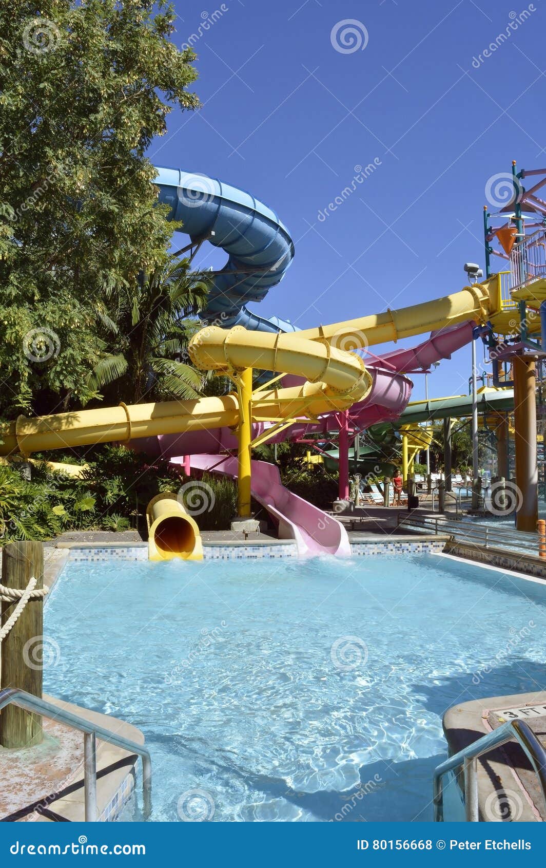 Walkabout Waters Slides Aquatica Waterpark Stock Photo - Image of ...