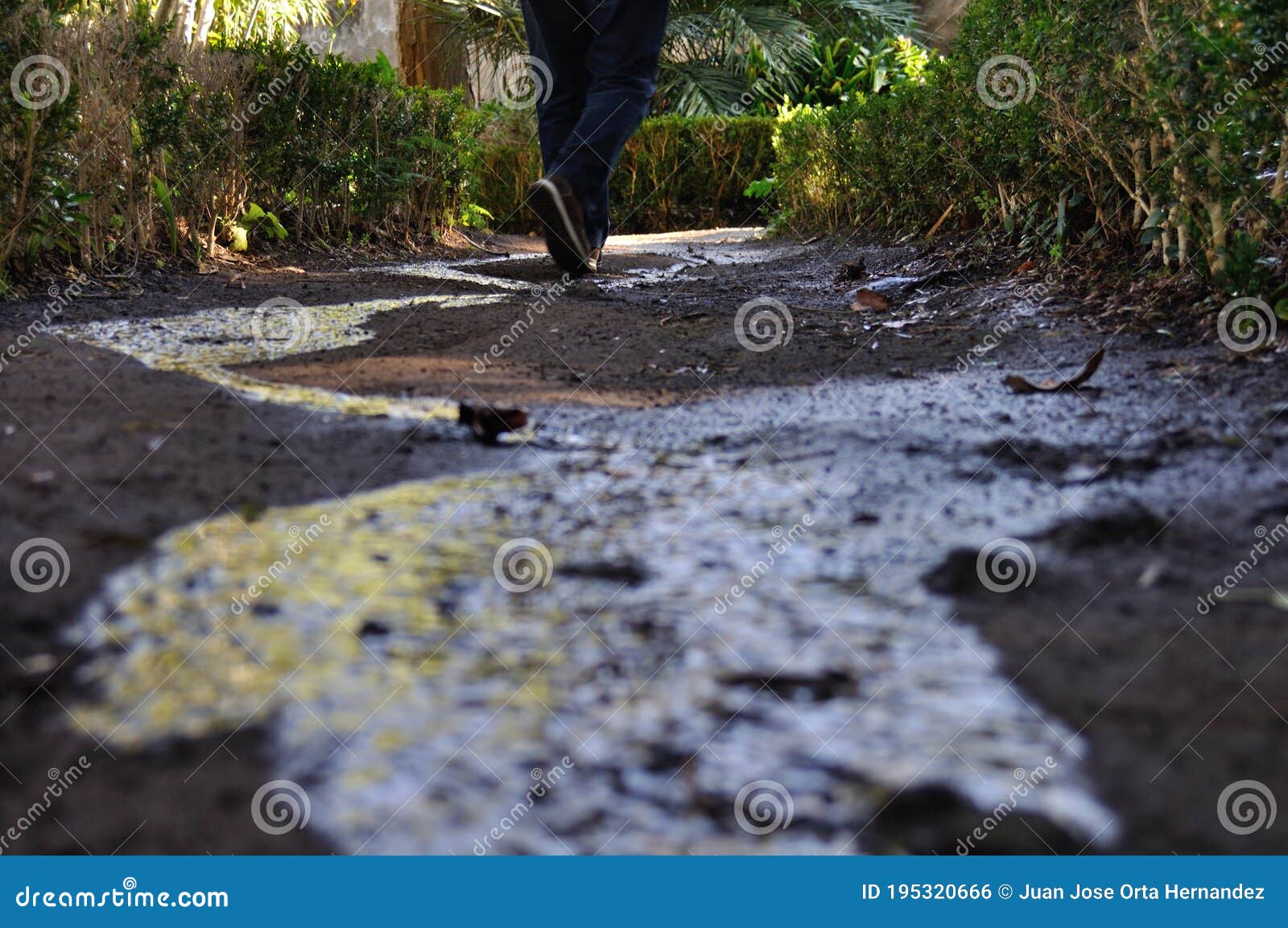 Walked the Wet Path of Life Stock Photo - Image of empty, soil: 195320666