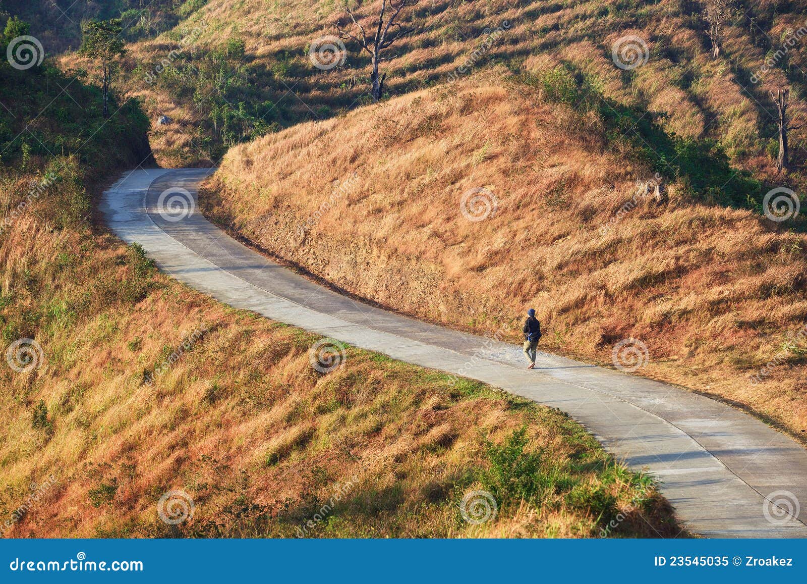 Walking Across Curve Road in Mountain Stock Image - Image of green ...