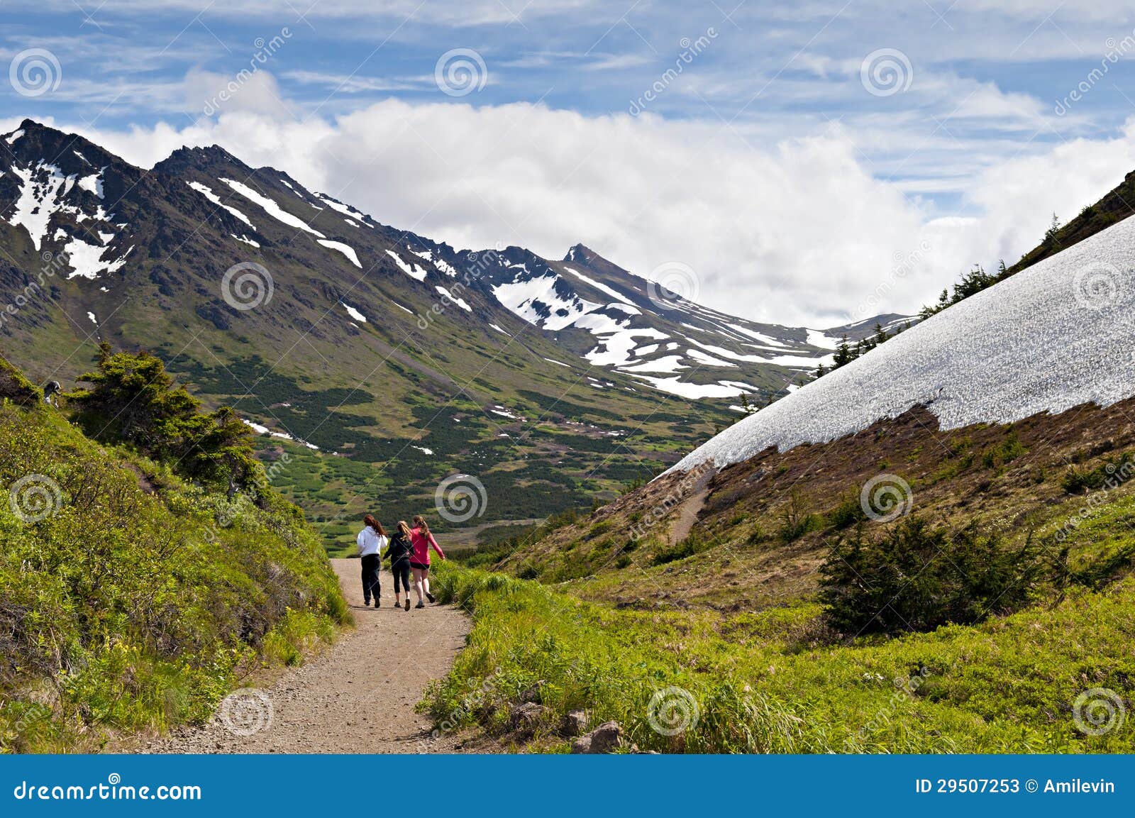 Walking in Alaskan Mountain Trail Editorial Stock Photo - Image of ...