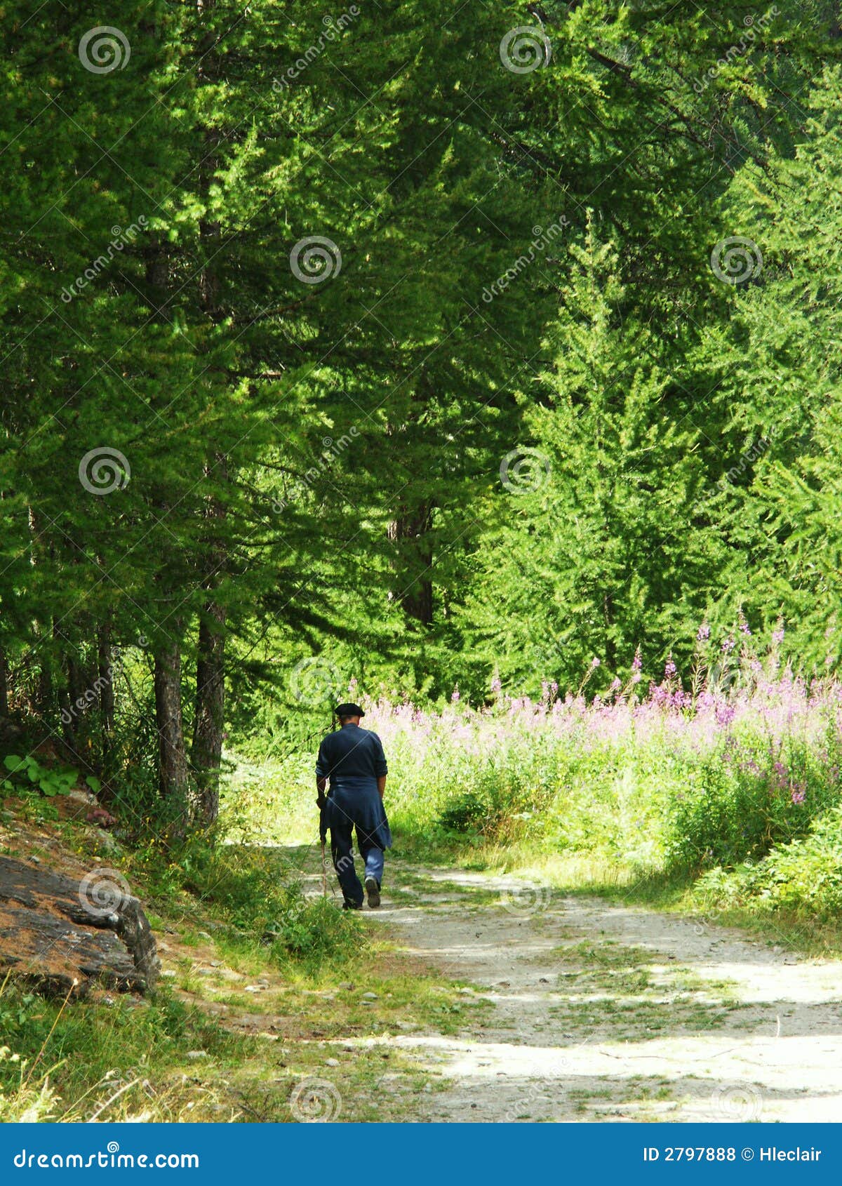 Walking Alone Royalty Free Stock Photos - Image: 2797888