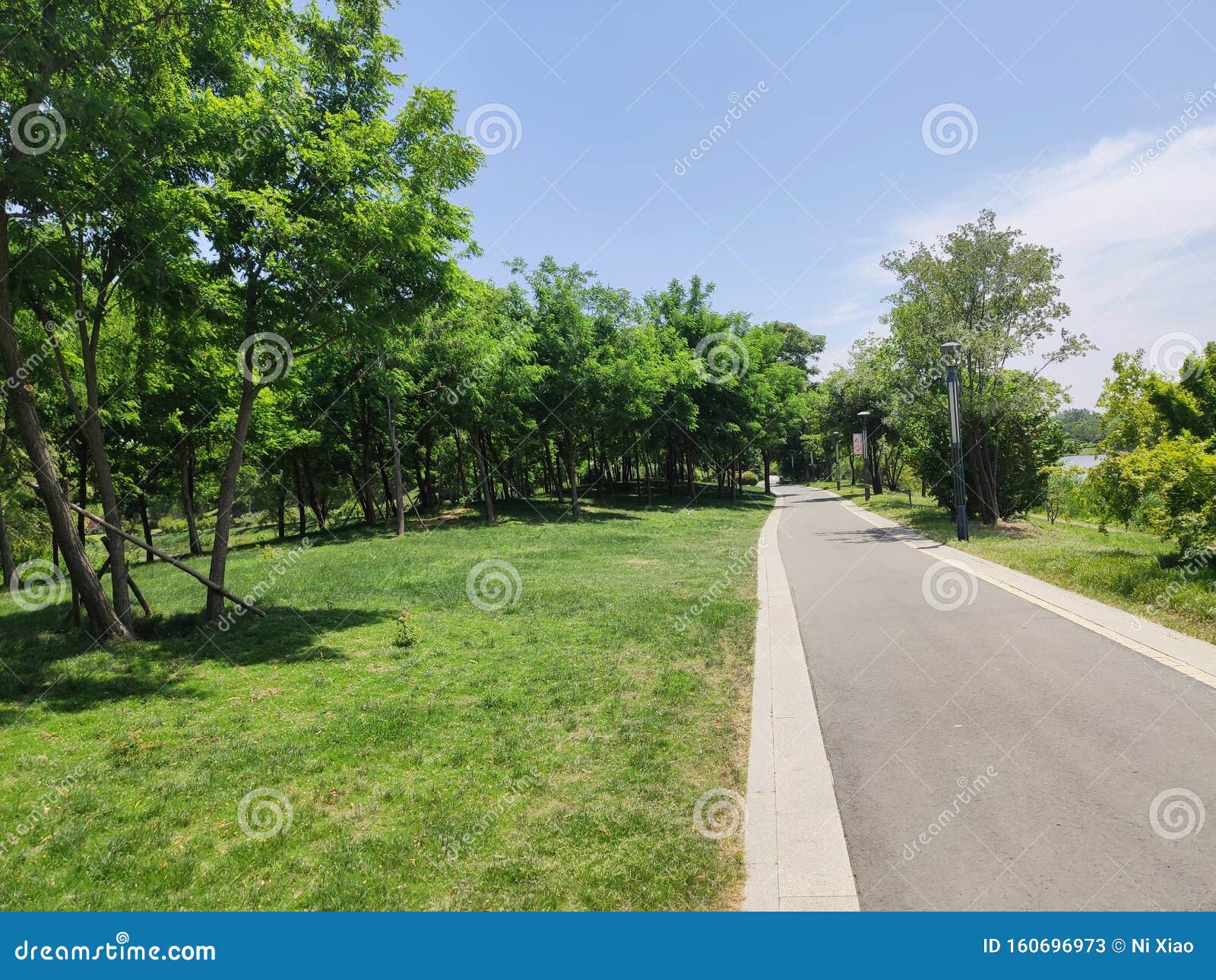 Walking alone on the path stock image. Image of noon - 160696973
