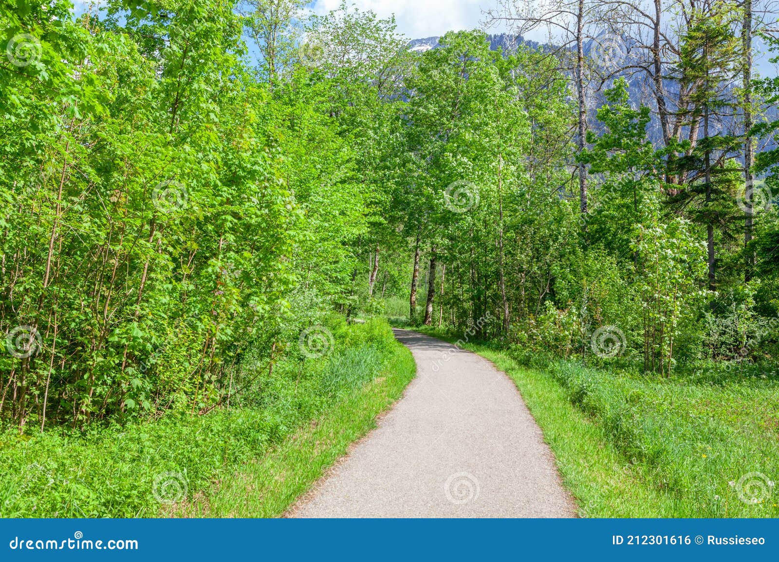 Walking Alone on Path in Park Stock Photo - Image of path, forest ...