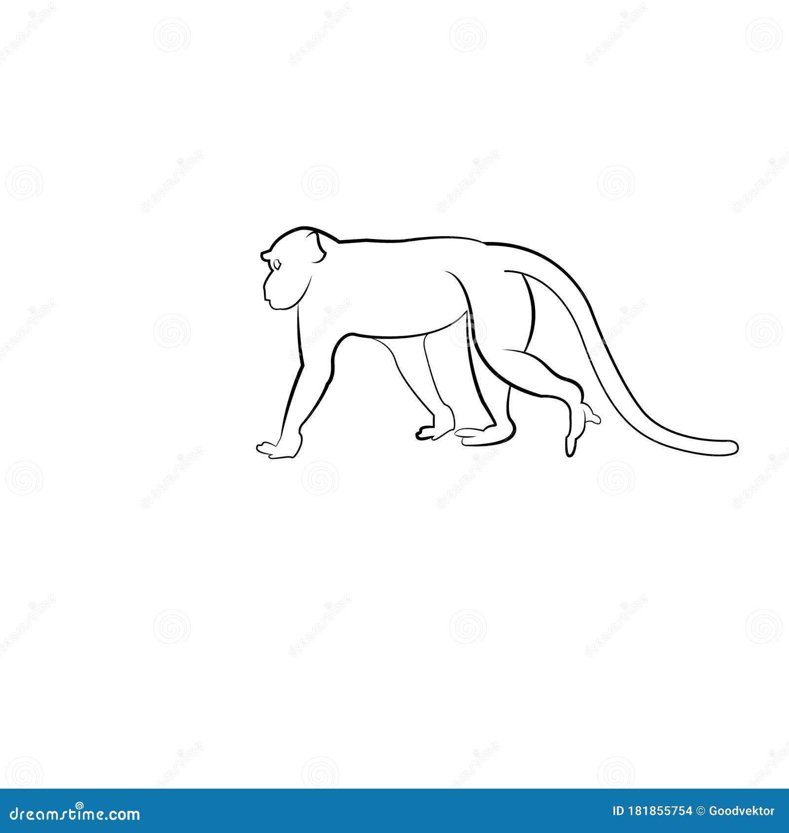 Walking Apes Monkey with Silhouette and Line Art, Ape, Chimpanzee ...