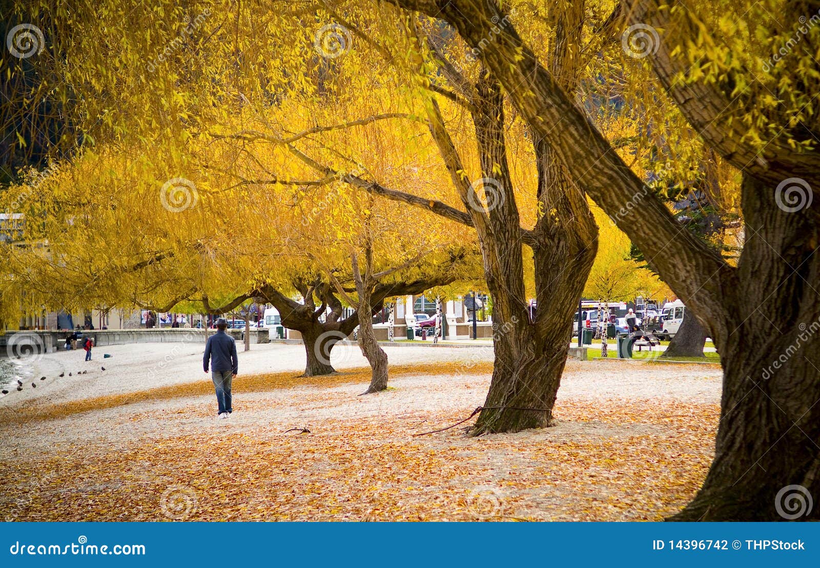 Walking in Autumn stock photo. Image of leaves, foliage - 14396742