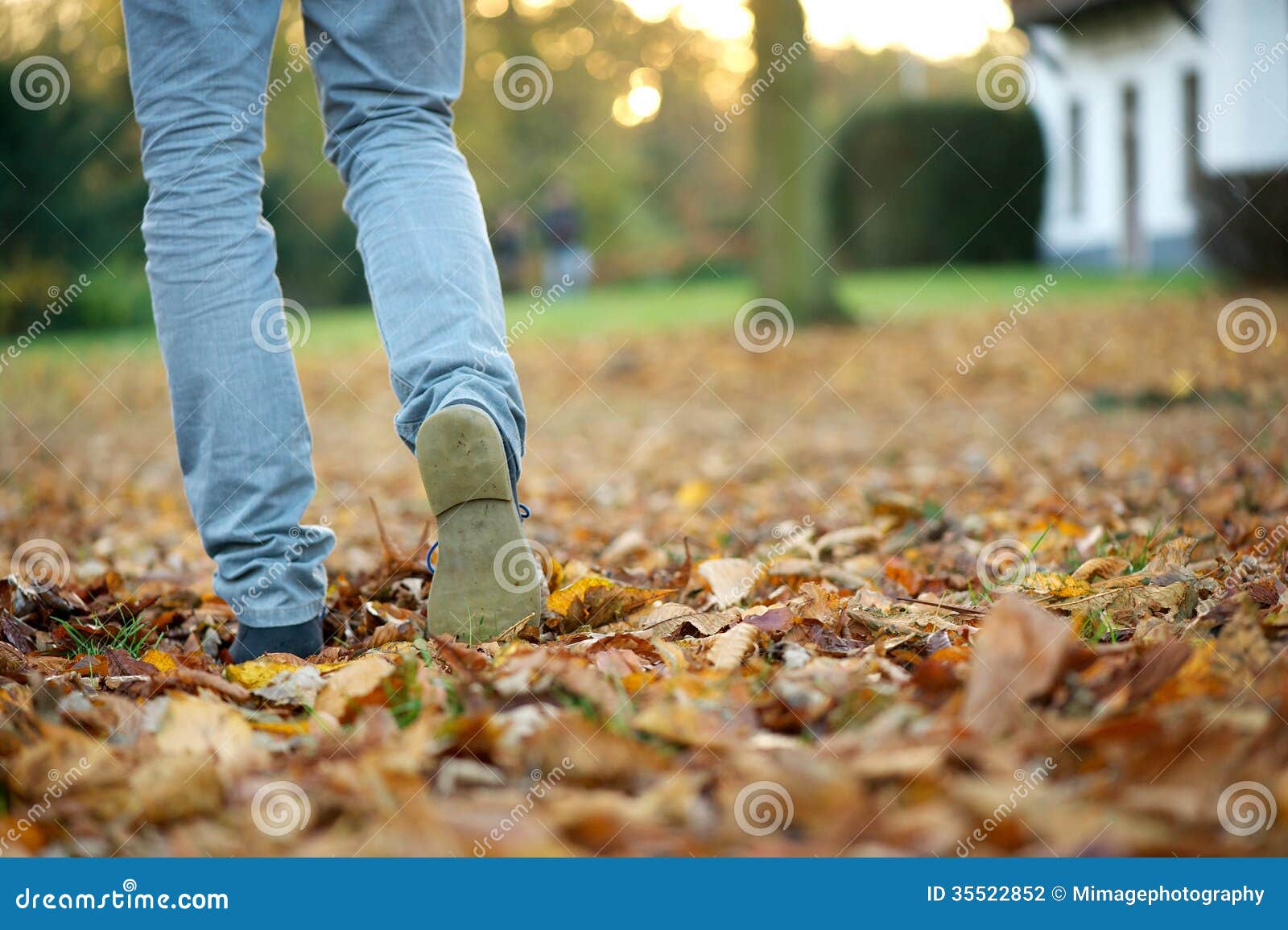 Walking in Autumn stock photo. Image of horizontal, fall - 35522852