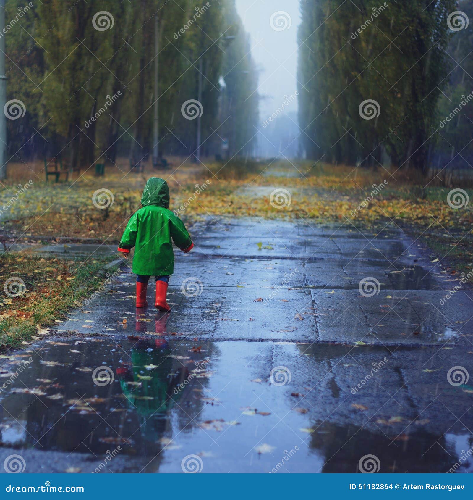 Autumn Rainy Walkway, Walking Area,cyclepath Royalty-Free Stock ...
